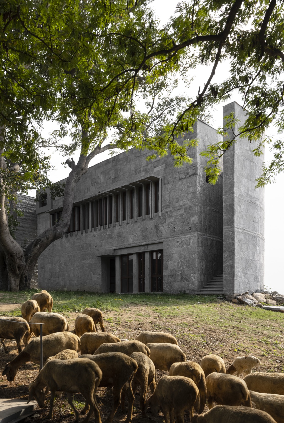 One Tree Hill by Samira Rathod Design Atelier - 谷德设计网