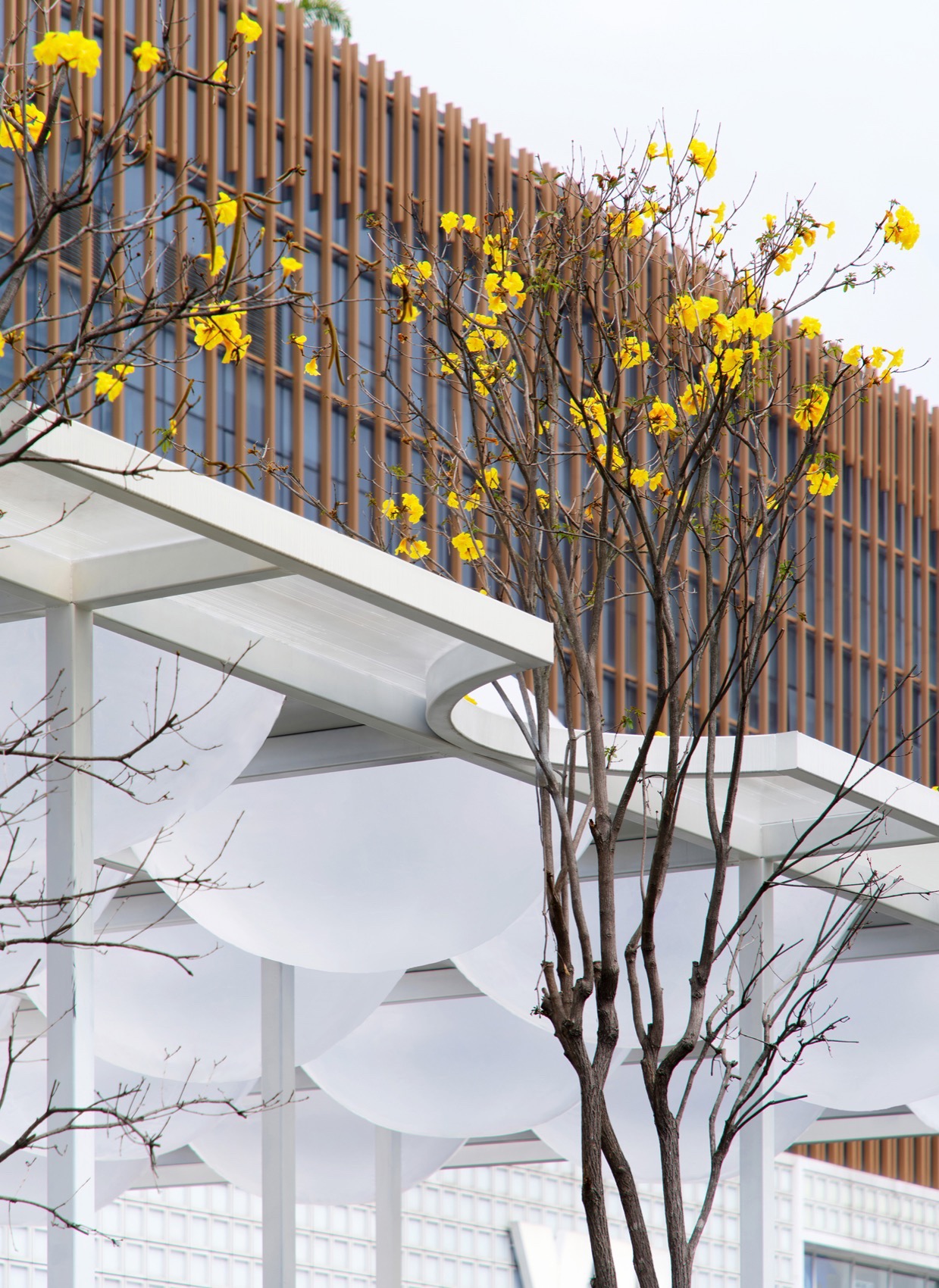 Floating Fragrance, Infinite Fraction by Fununit Design - 谷德设计网