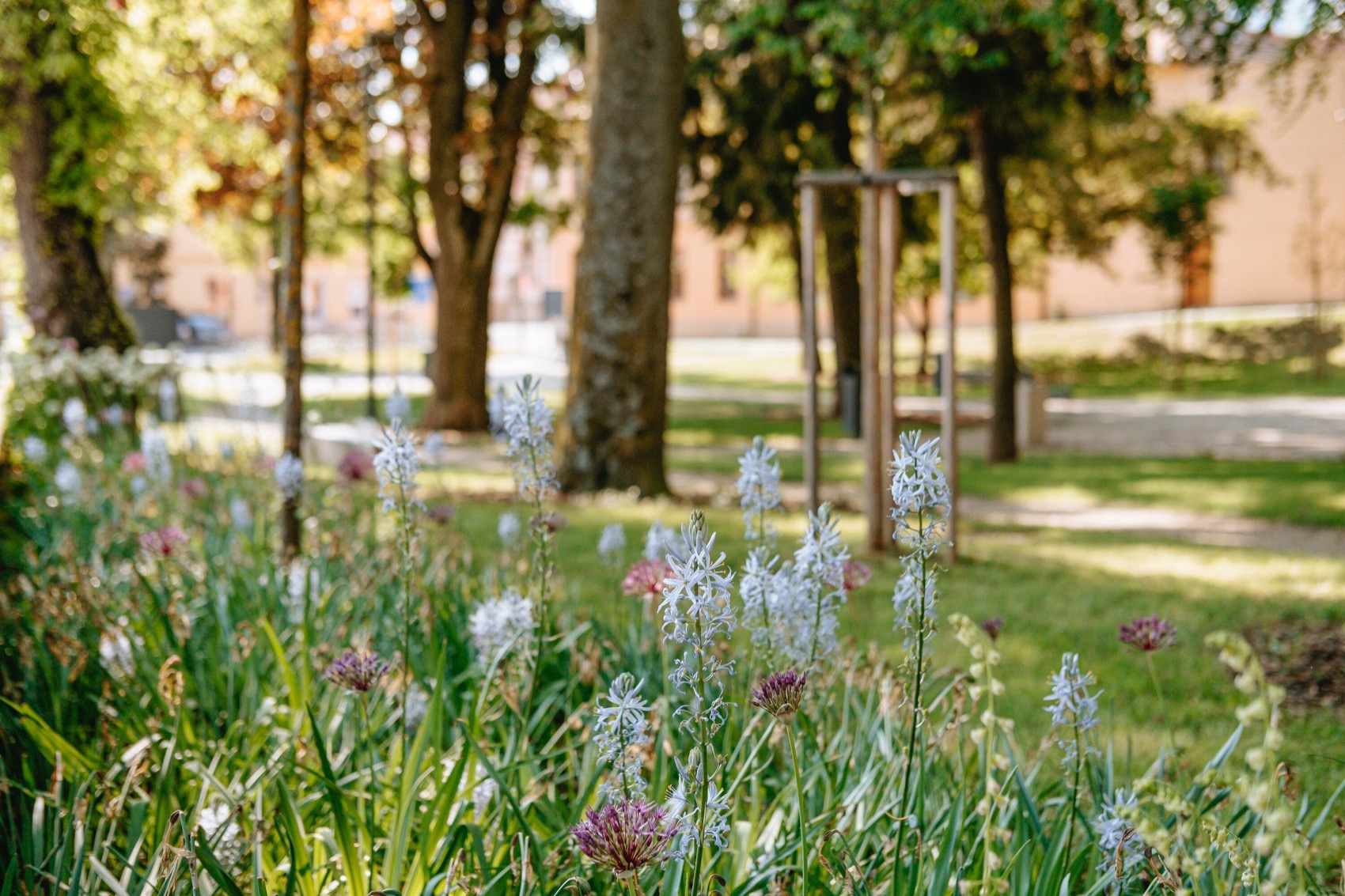 Revitalisation of Stéphanie’s Park by M2AU - 谷德设计网