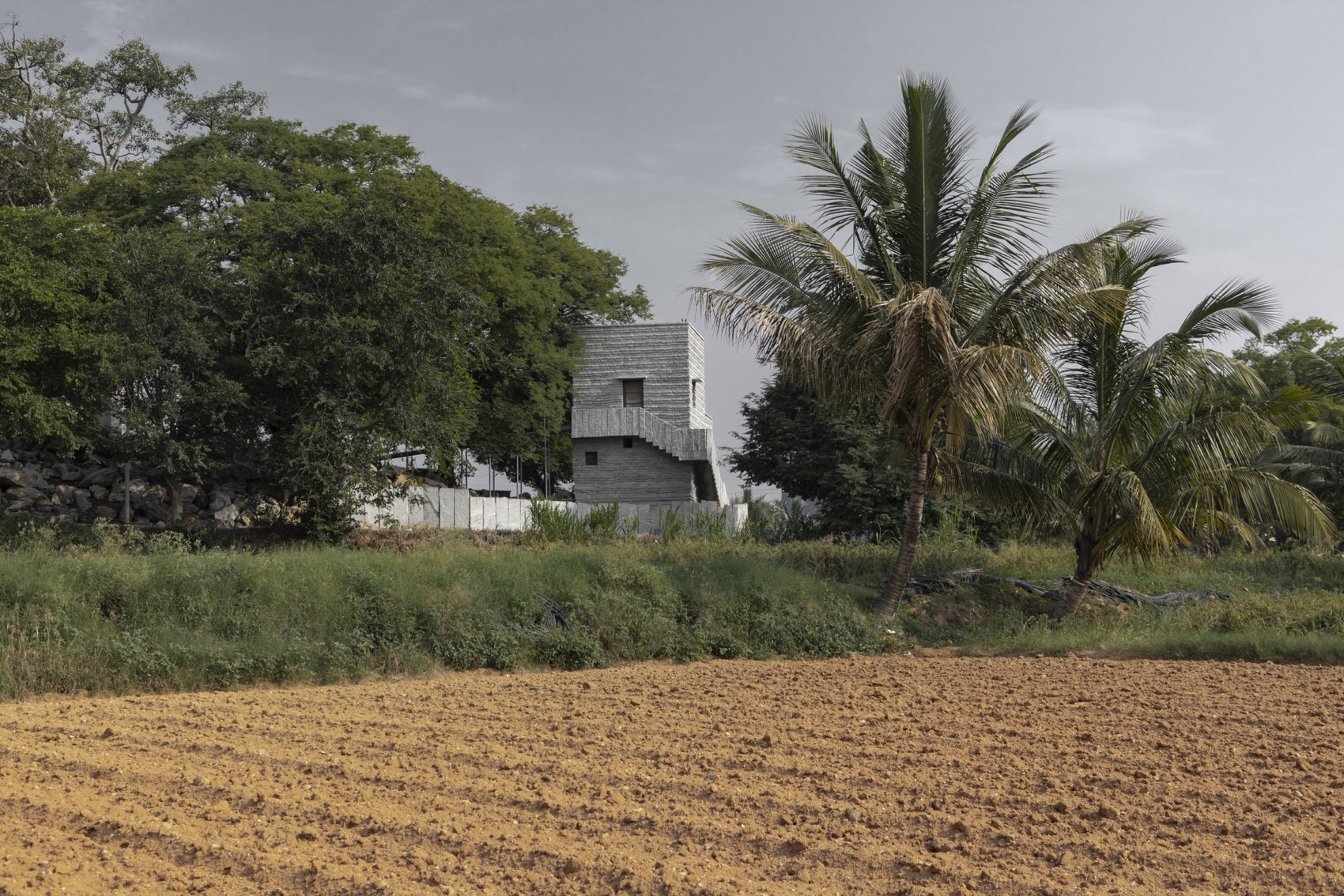 One Tree Hill by Samira Rathod Design Atelier - 谷德设计网