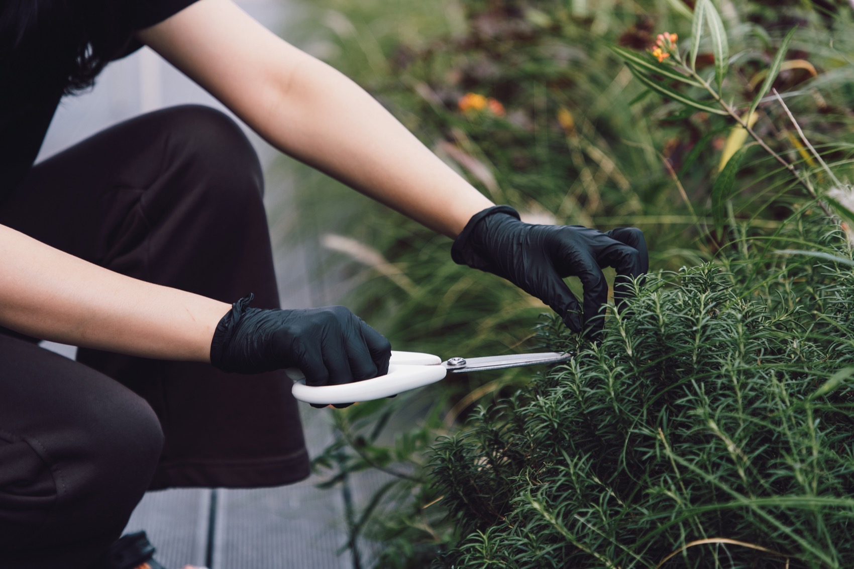 Floating Fragrance, Infinite Fraction by Fununit Design - 谷德设计网