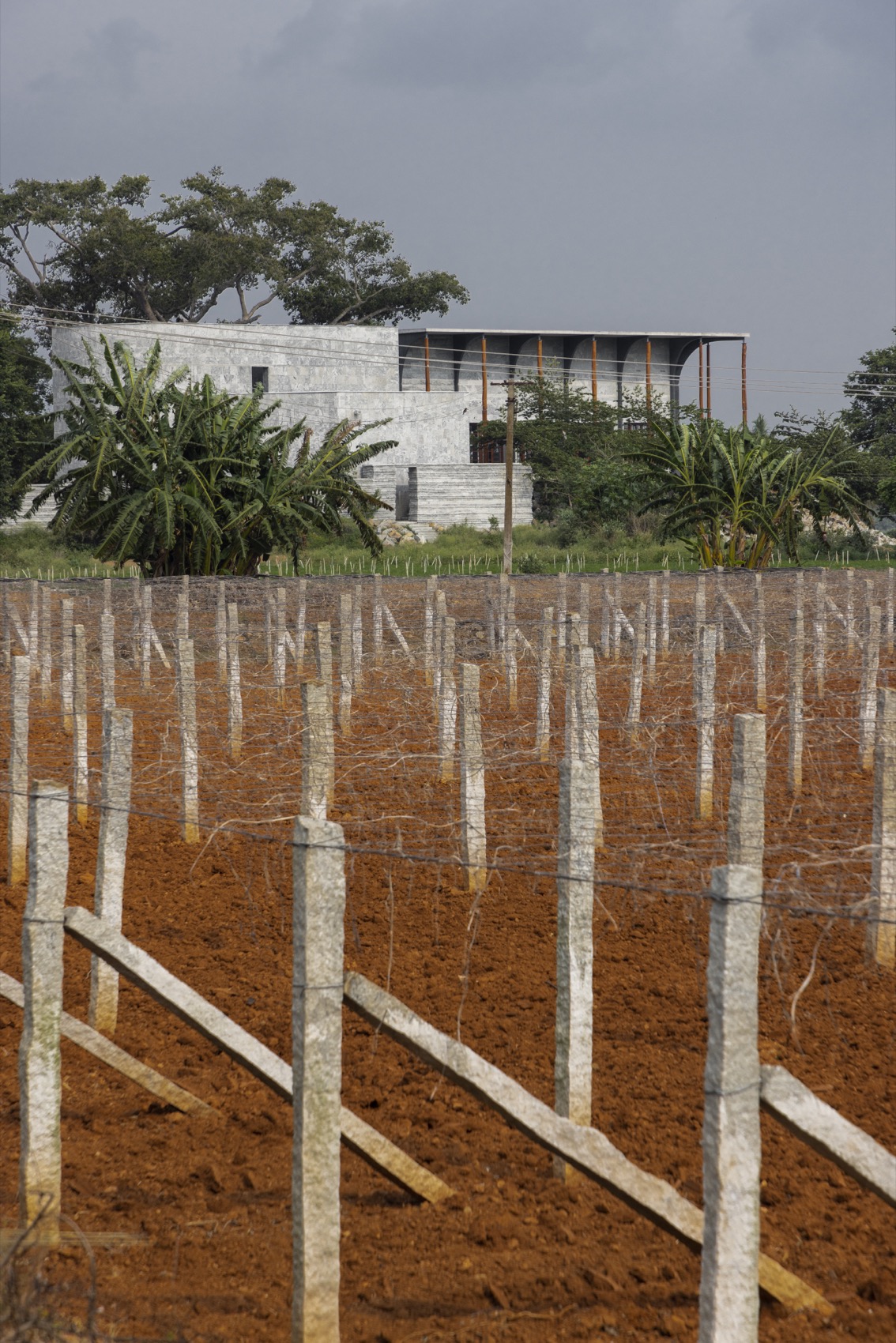 One Tree Hill by Samira Rathod Design Atelier - 谷德设计网