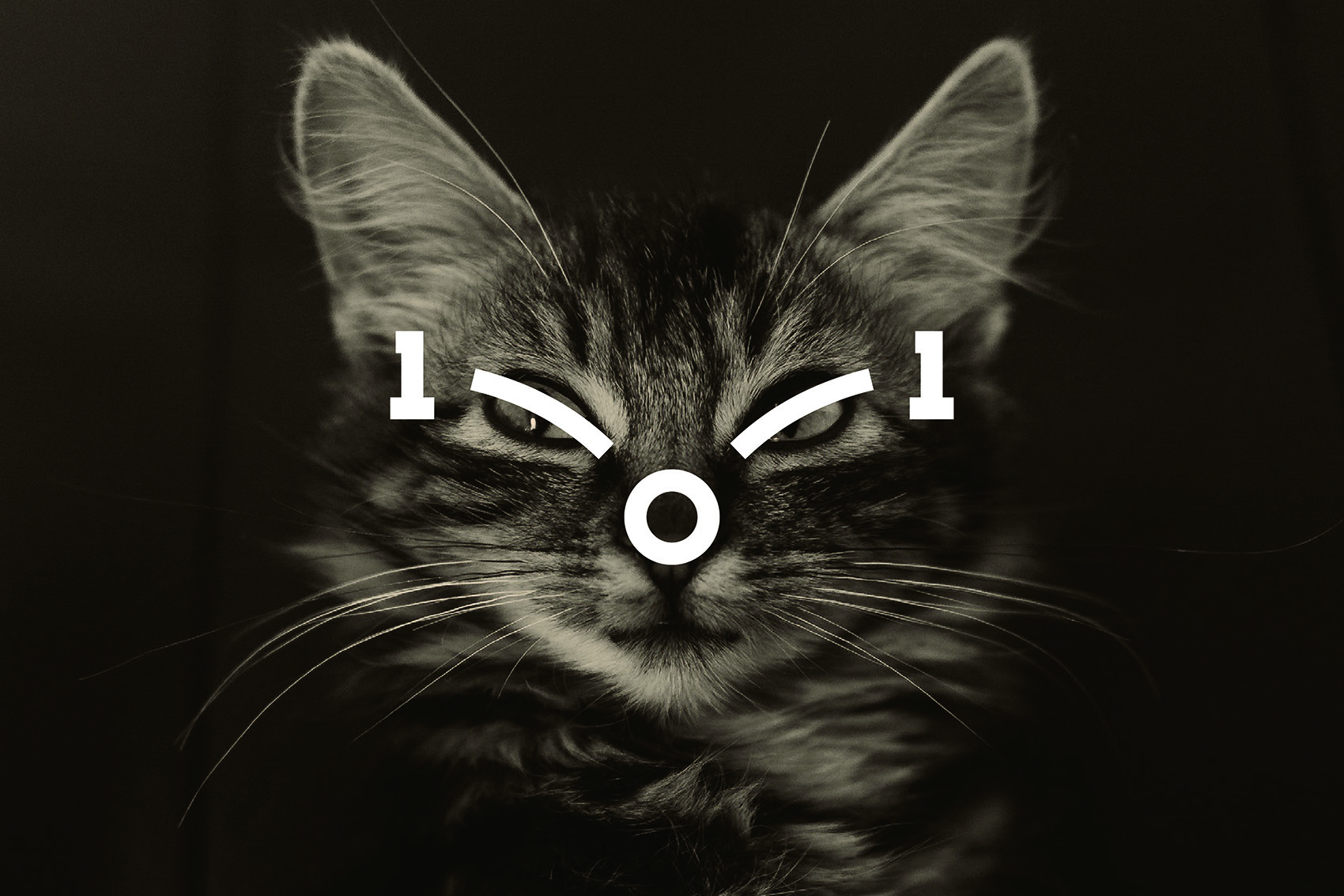 101 PET by Informal Design - 谷德设计网