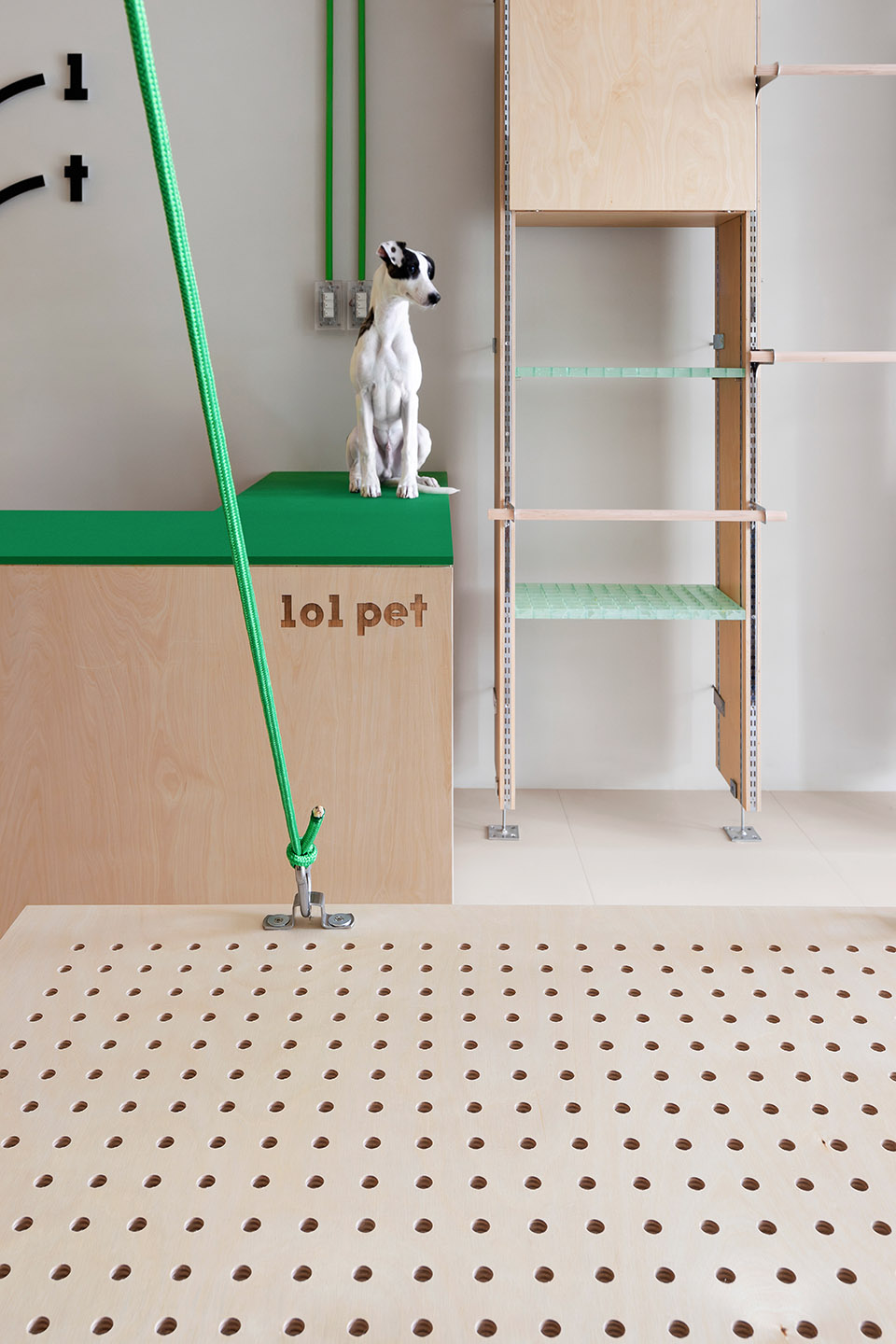 101 PET by Informal Design - 谷德设计网