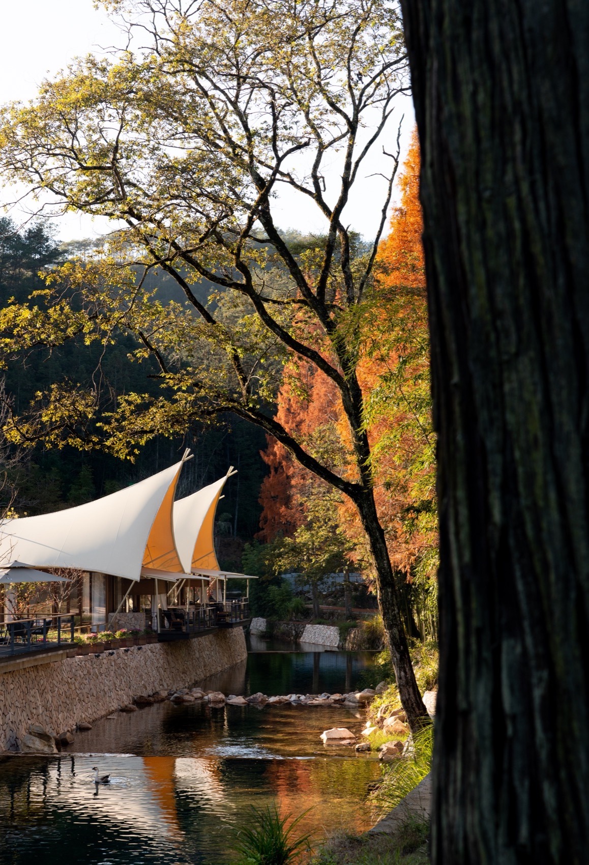 Shaowu City Erdu National Forest Health Tent Hotel by Dasong ...