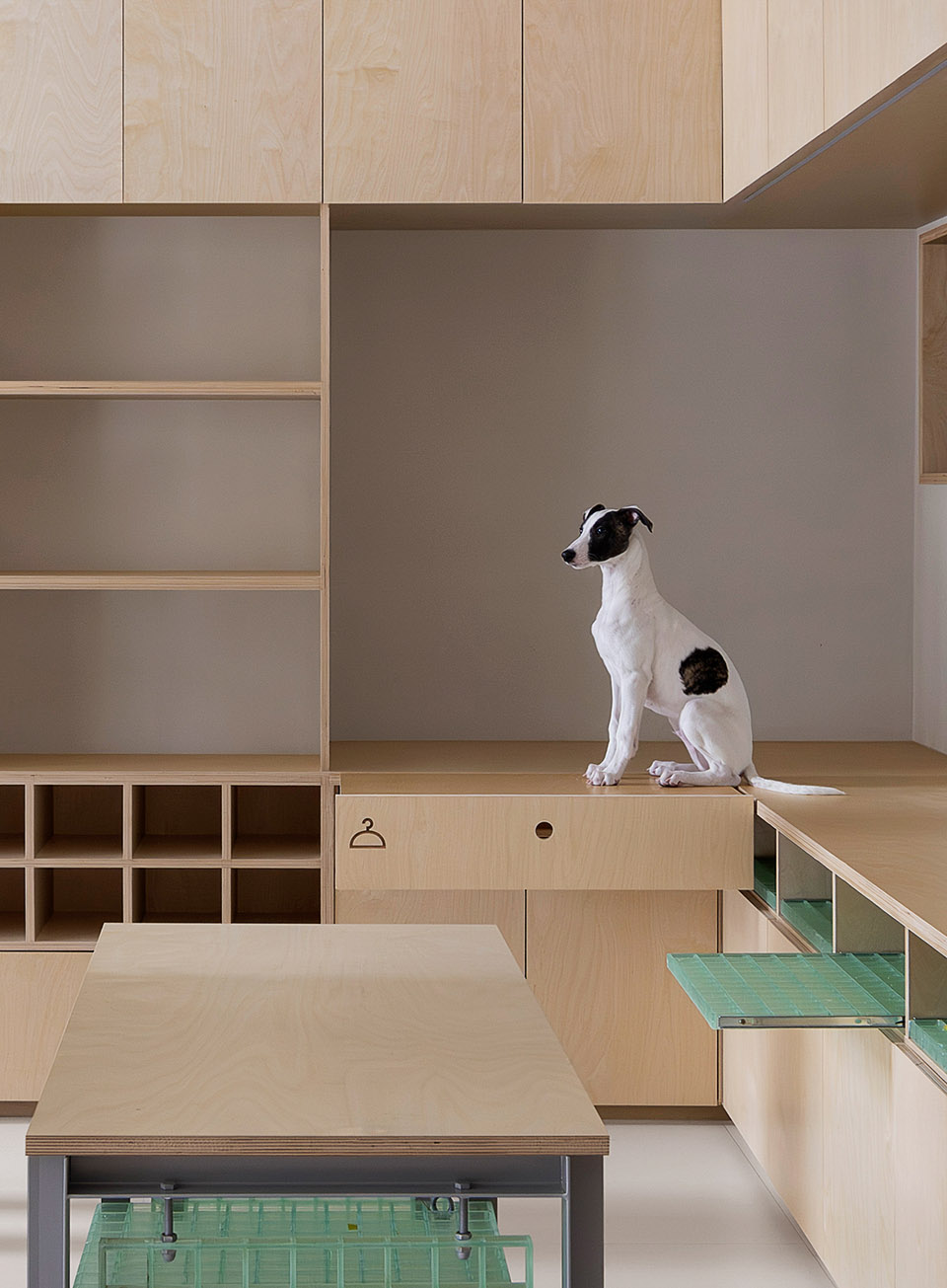 101 PET by Informal Design - 谷德设计网