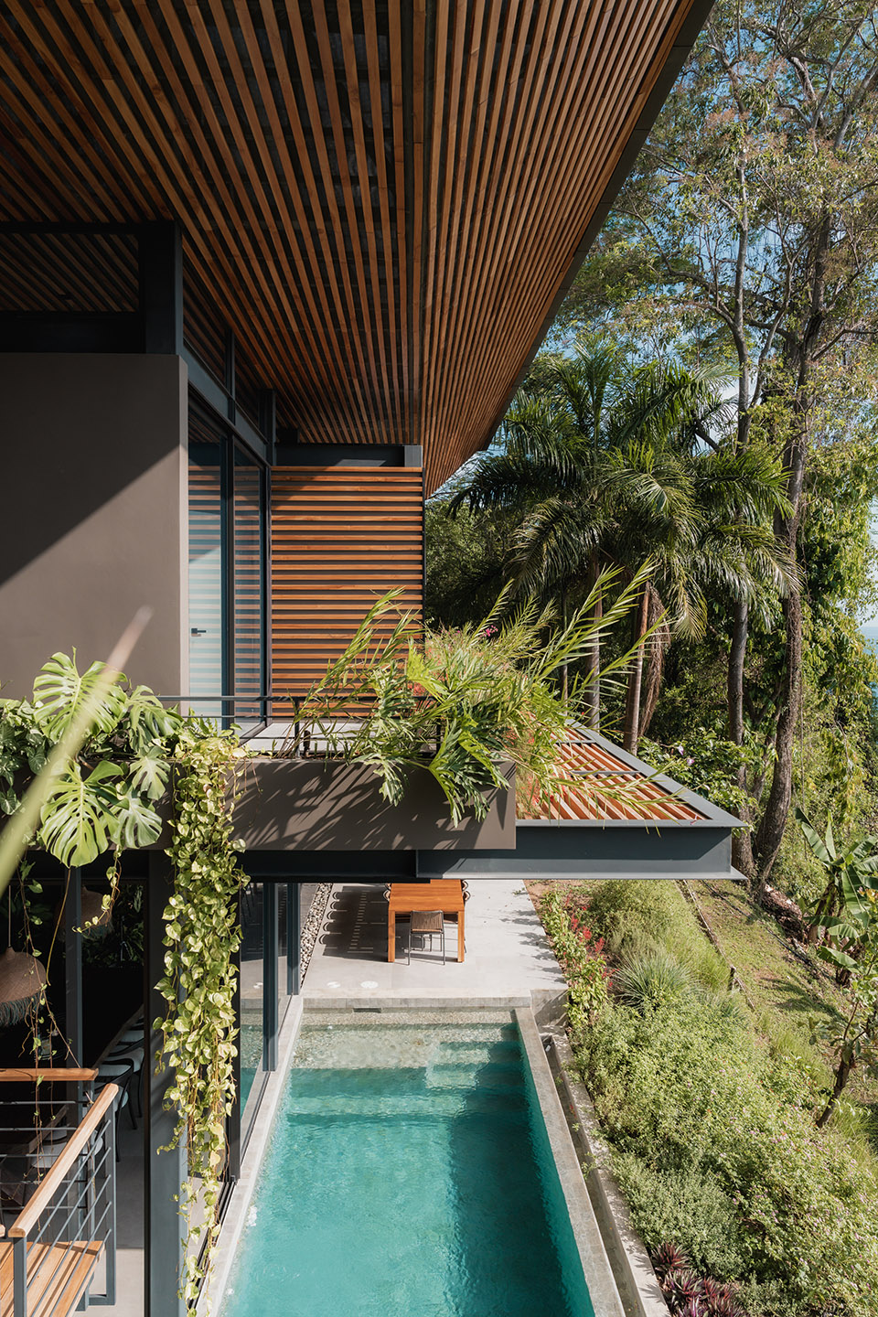 Cascada de Luz by Studio Saxe - 谷德设计网