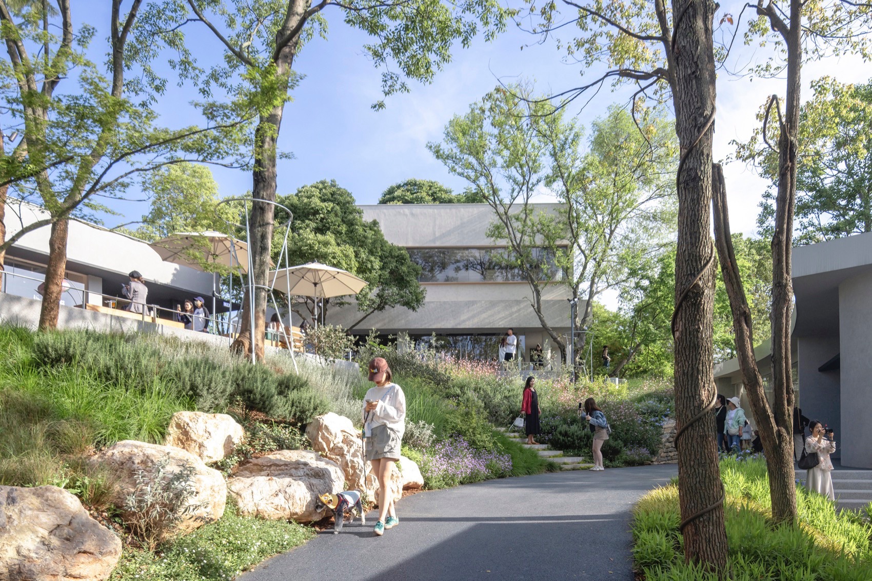 The Luxe Lakes CPI Island Commercial Renewal by VARI Design - 谷德设计网