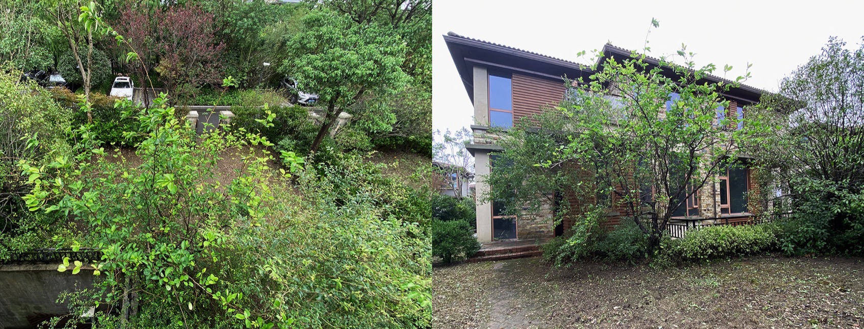 Living by the Trees by Atelier D+Y - 谷德设计网