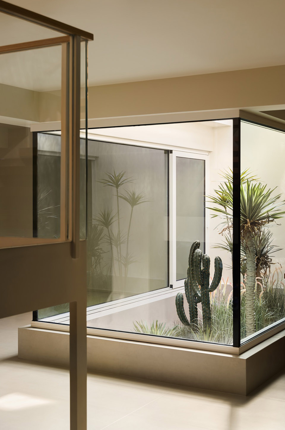 Plant Box House by DreamCat Lab - 谷德设计网