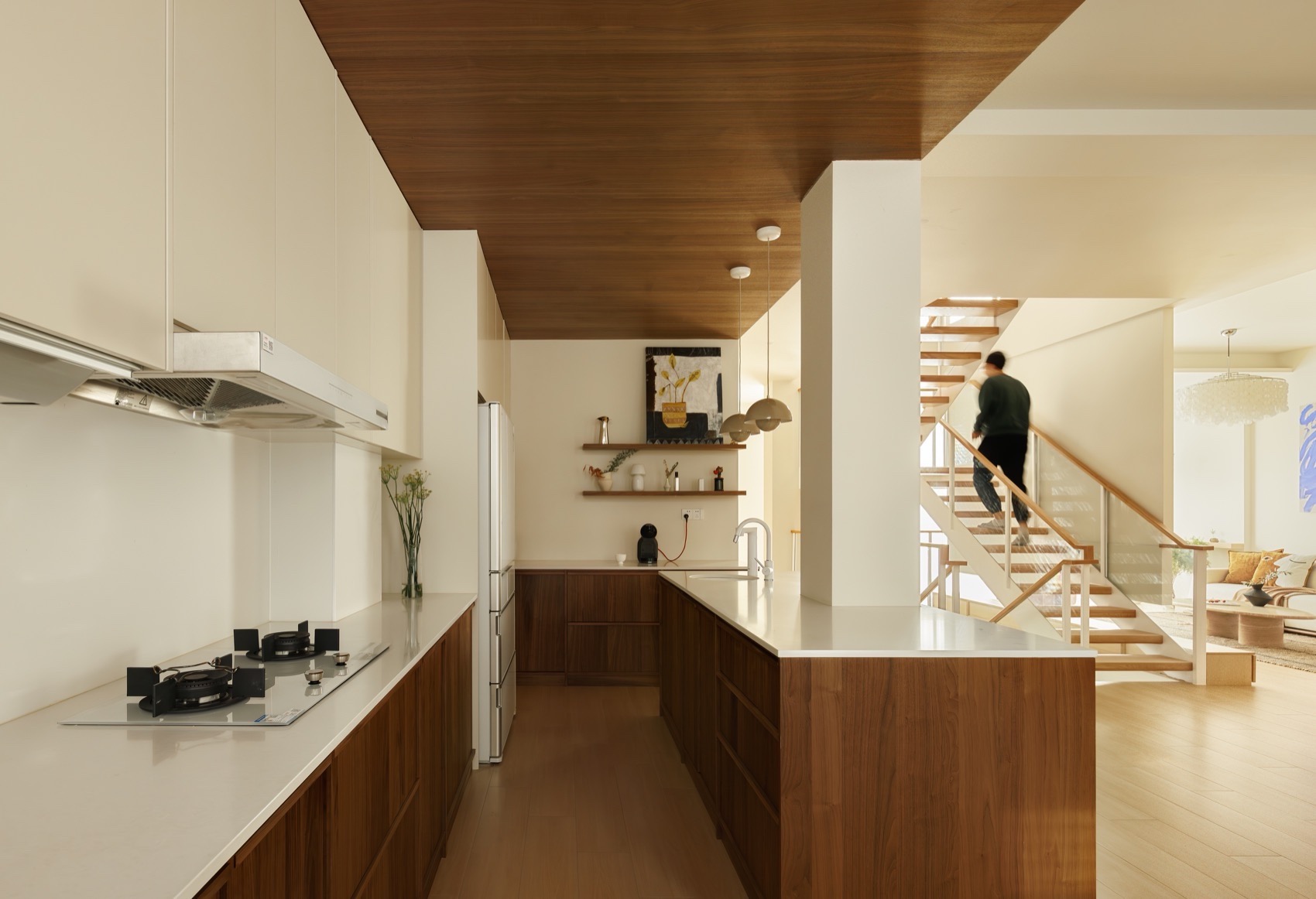 Plant Box House by DreamCat Lab - 谷德设计网