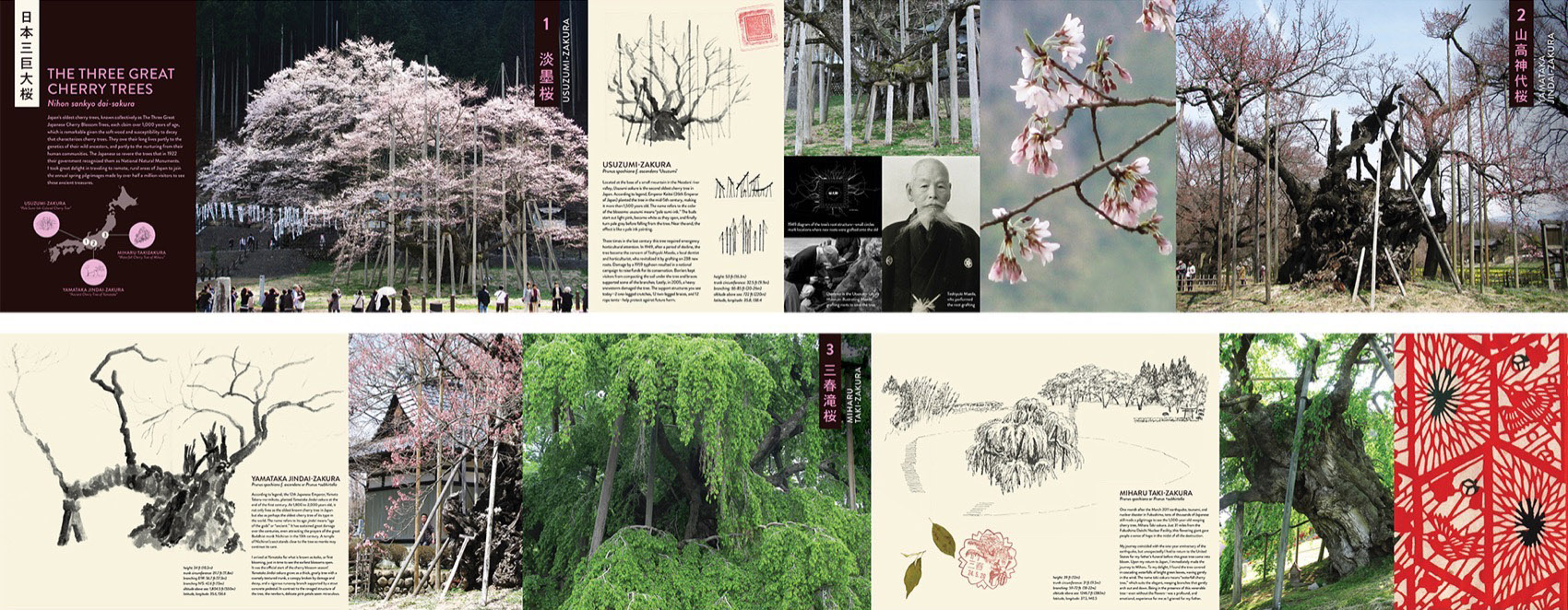 2023 ASLA COMMUNICATIONS AWARD OF HONOR: Sakura Orihon by Ron Henderson ...