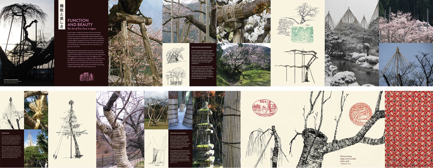 2023 ASLA COMMUNICATIONS AWARD OF HONOR: Sakura Orihon by Ron Henderson ...