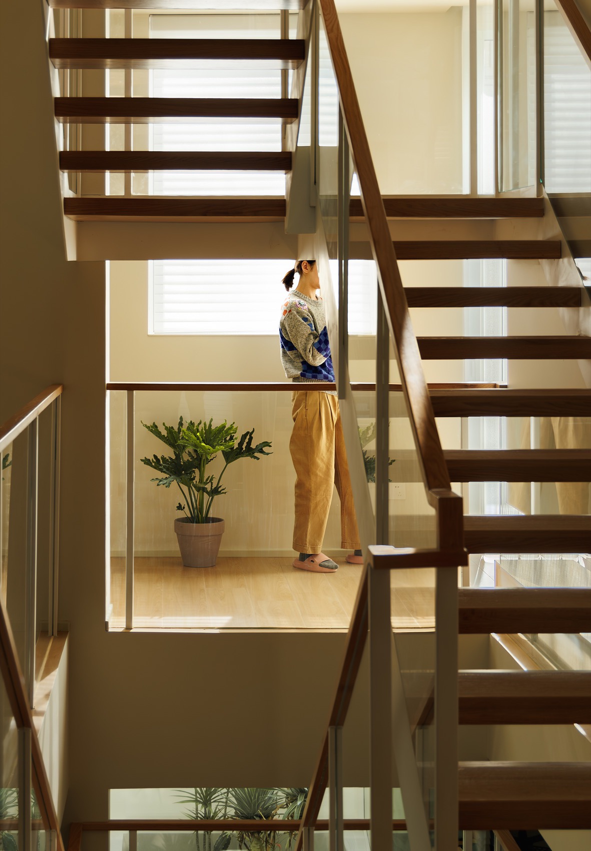 Plant Box House by DreamCat Lab - 谷德设计网