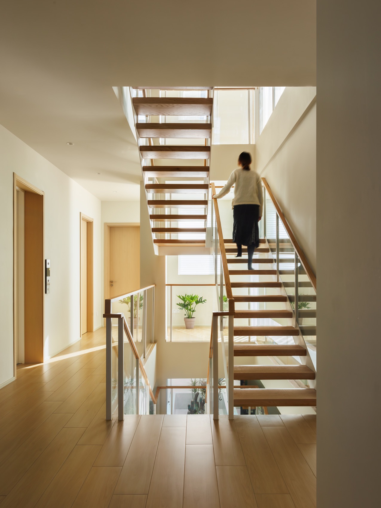 Plant Box House by DreamCat Lab - 谷德设计网