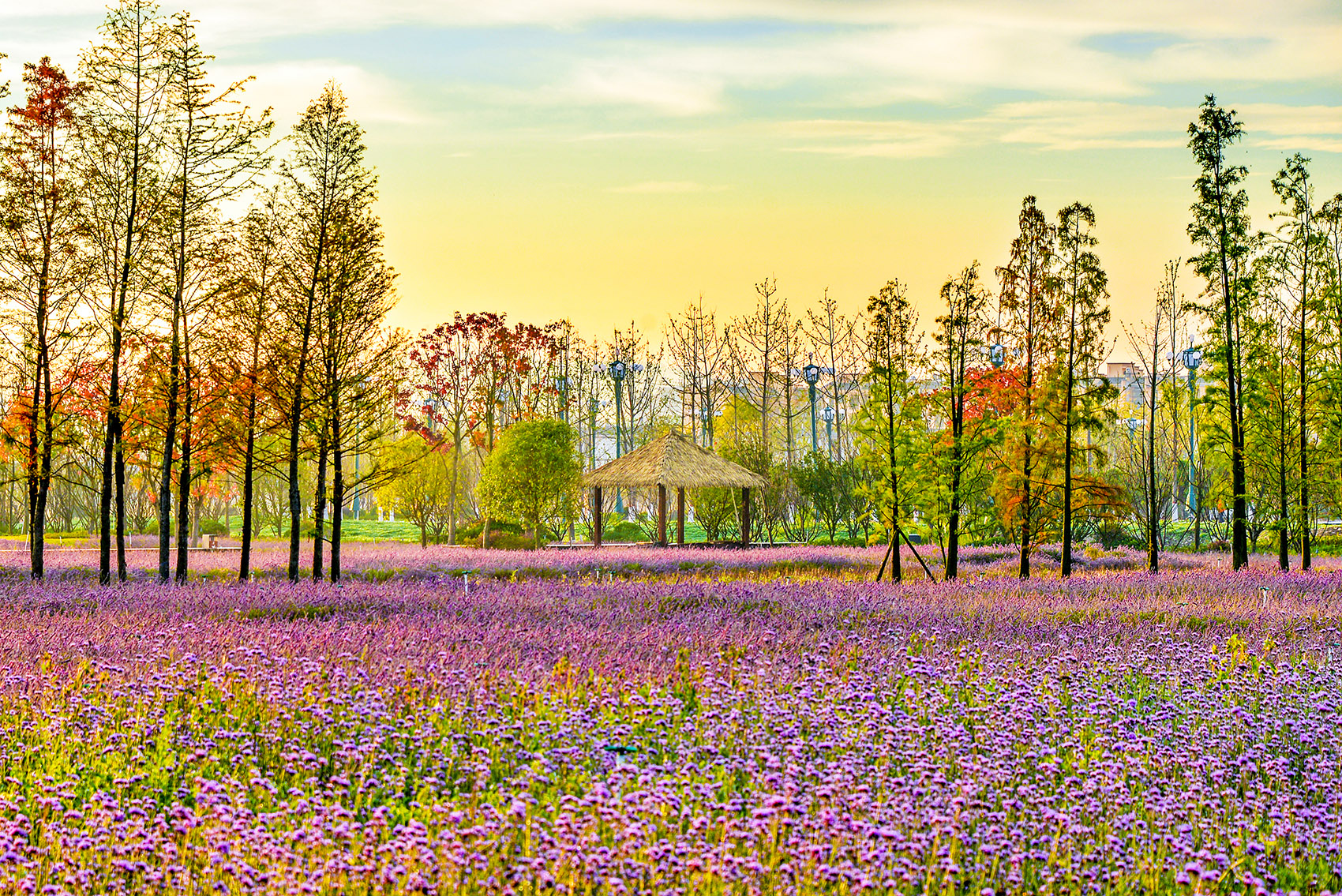 Youdian River Park System in Core Town Area by yǒu Landscape - 谷德设计网