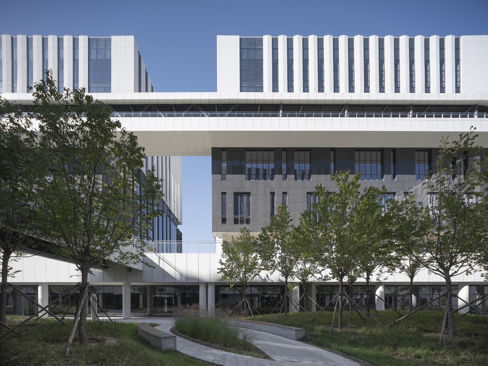 Beijing Yizhuang cell therapy R&D pilot base by Beijing Industrial ...