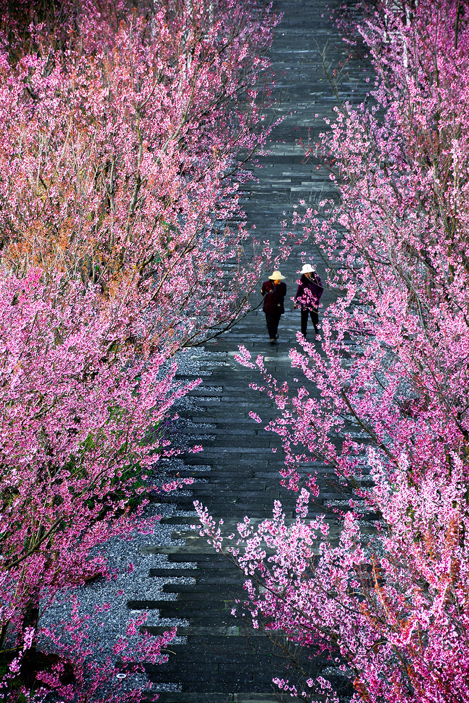Youdian River Park System in Core Town Area by yǒu Landscape - 谷德设计网
