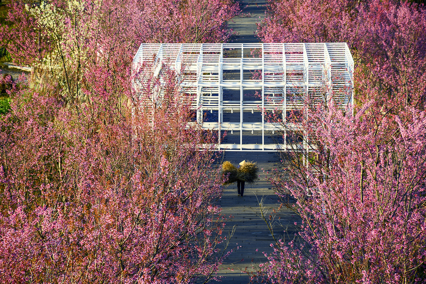 Youdian River Park System in Core Town Area by yǒu Landscape - 谷德设计网