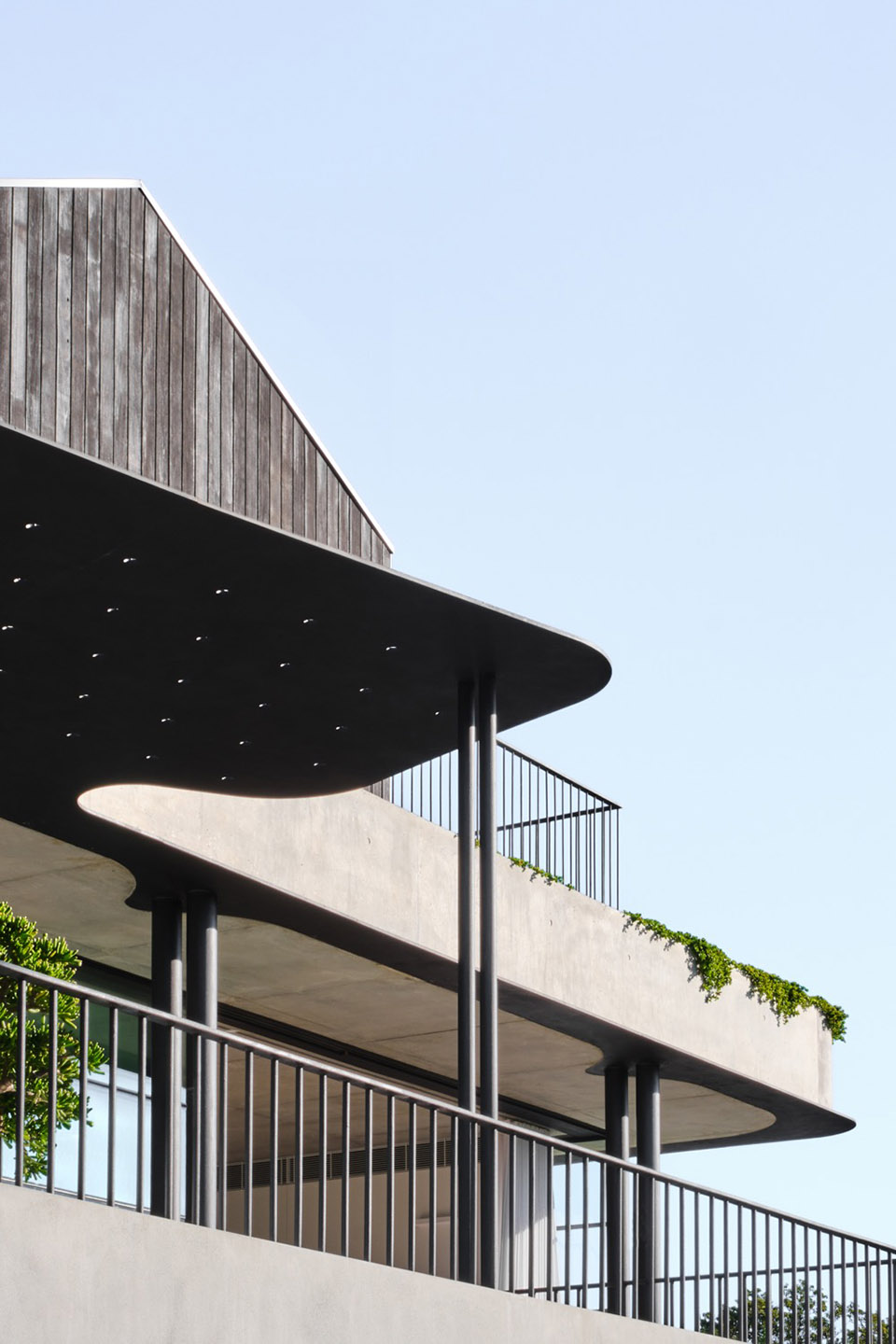 Mosman House II by Tribe Studio Architects - 谷德设计网