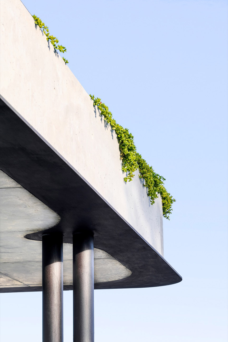 Mosman House II by Tribe Studio Architects - 谷德设计网