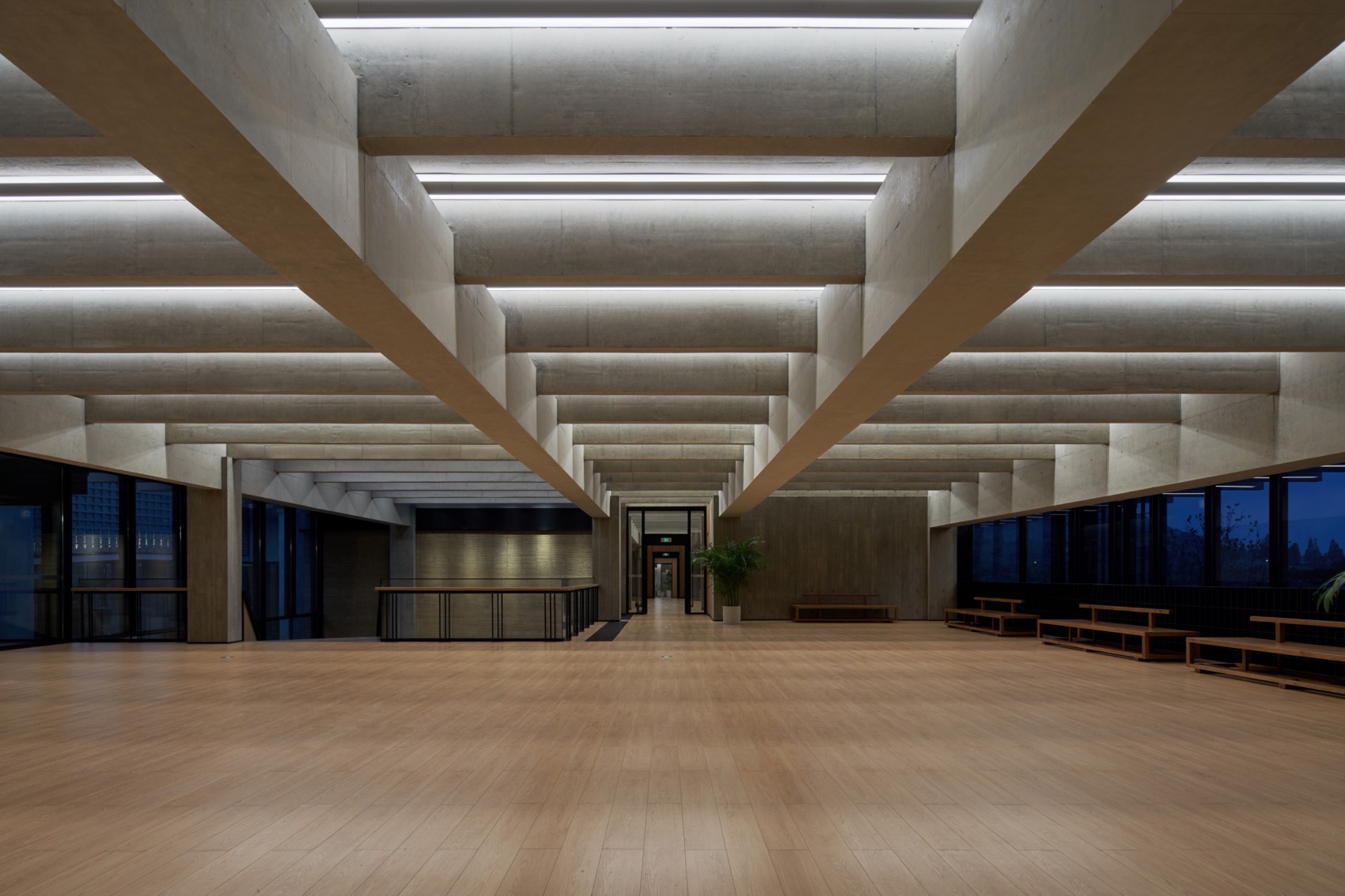 Fang Fang talks about the 2024 IALD International Lighting Design ...