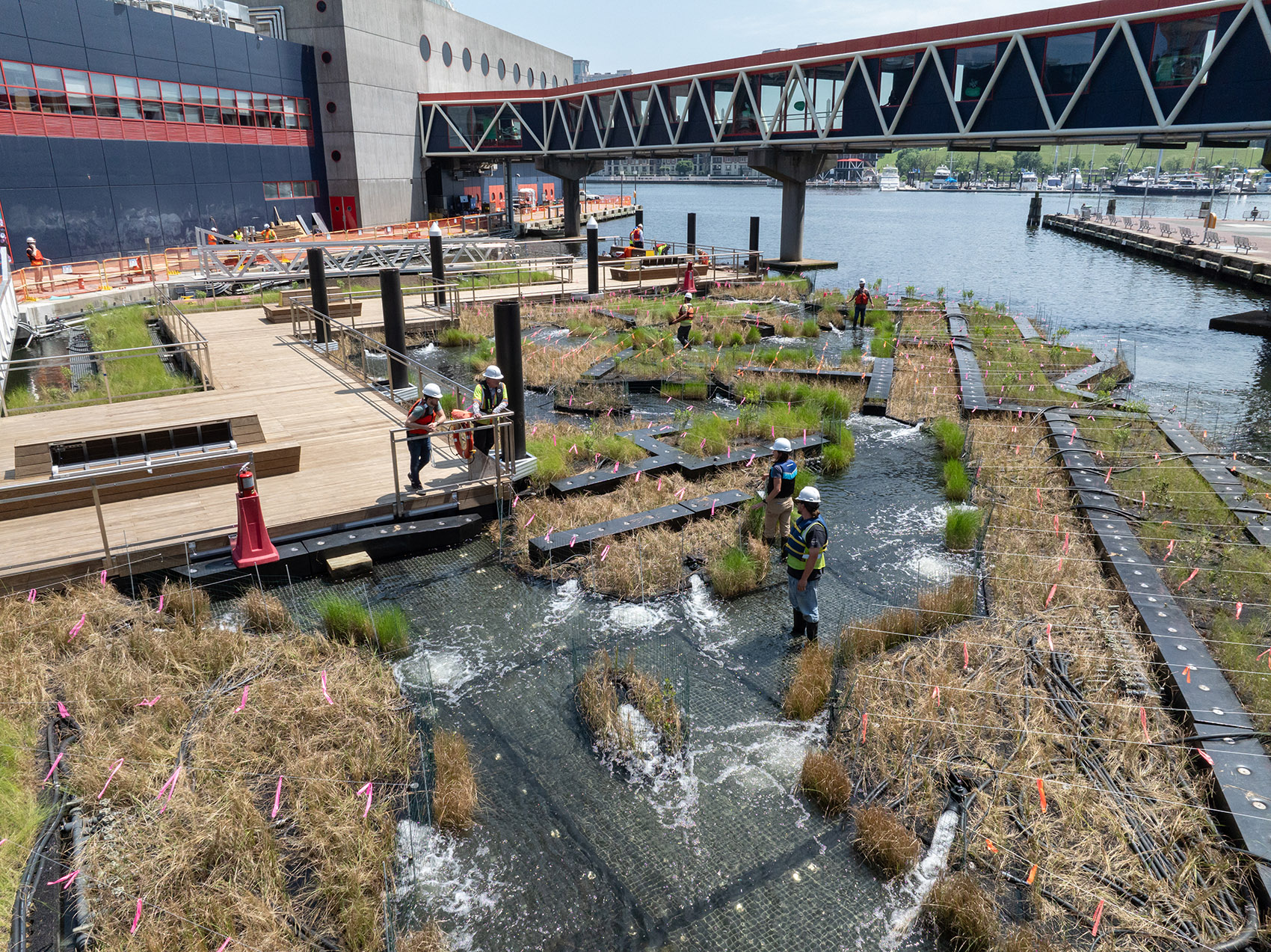 National Aquarium Harbor Wetland by Ayers Saint Gross - 谷德设计网