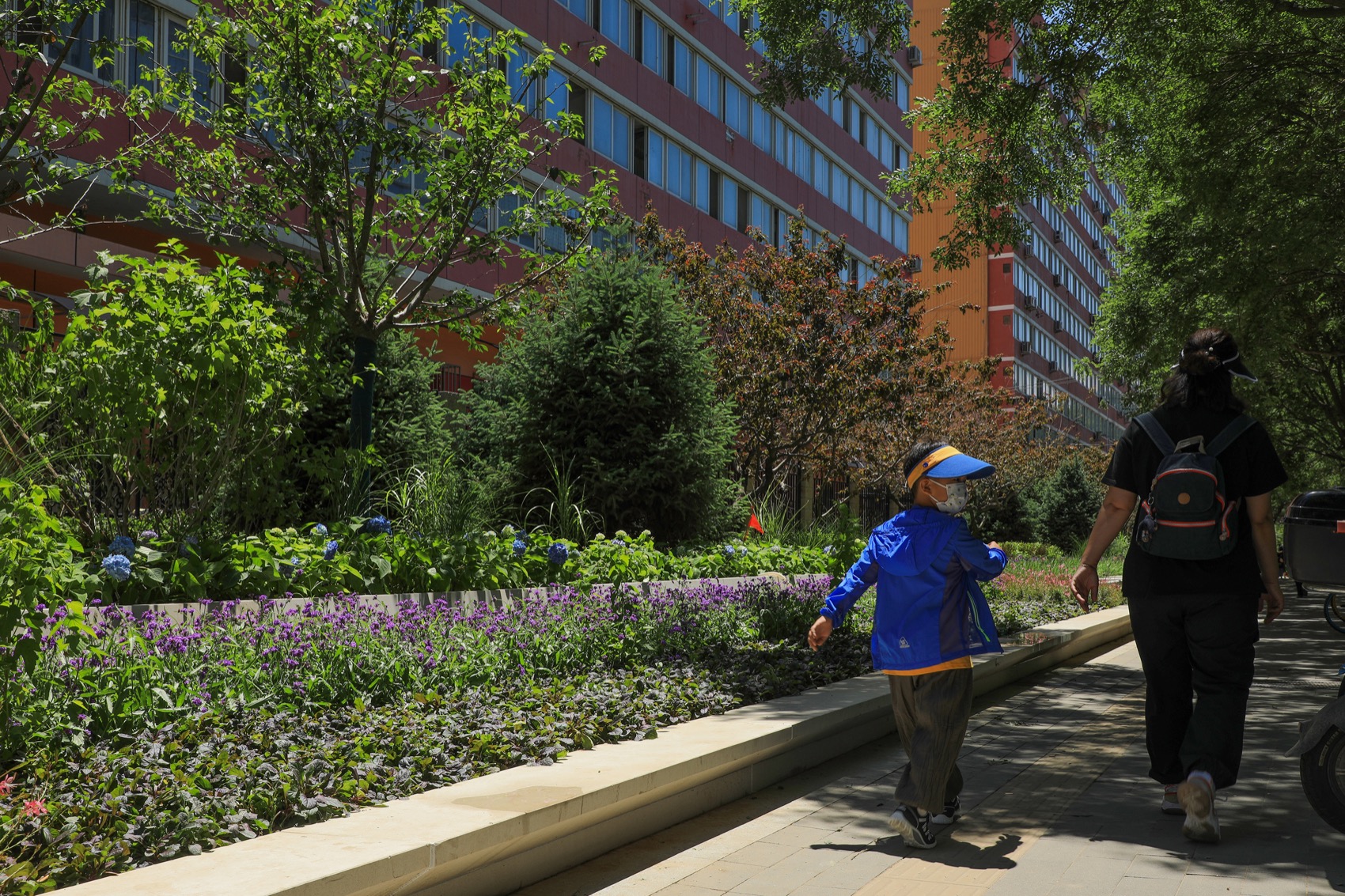 Picturesque Landscape: Comprehensive Environmental Renewal Design of ...