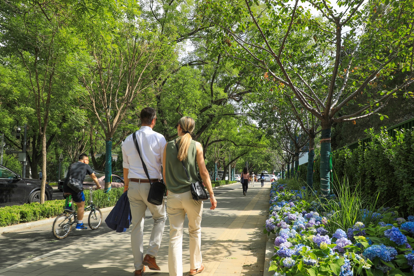 Picturesque Landscape: Comprehensive Environmental Renewal Design of ...