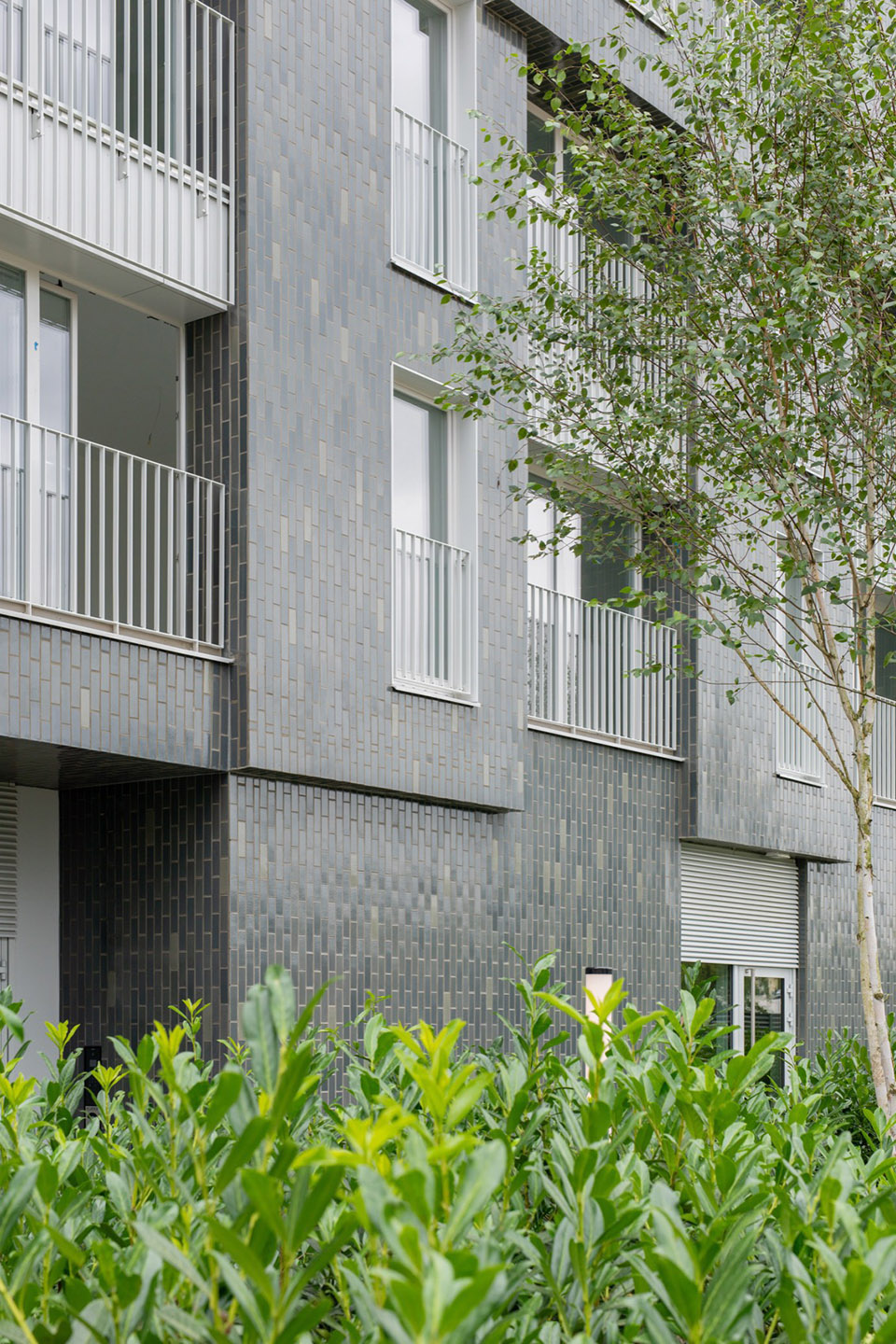 19th District by JEMS Architects studio - 谷德设计网