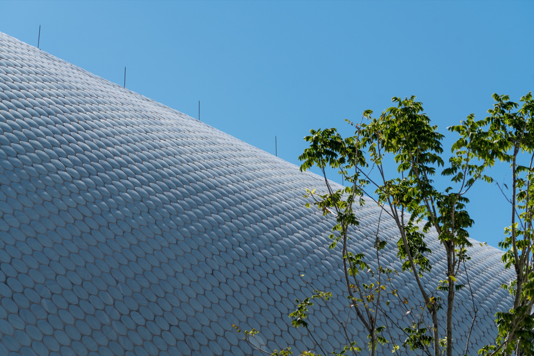 Xiazhi Ferry Terminal, Xiazhi Island, Putuo, Zhoushan by Atelier Z+ - 谷德设计网