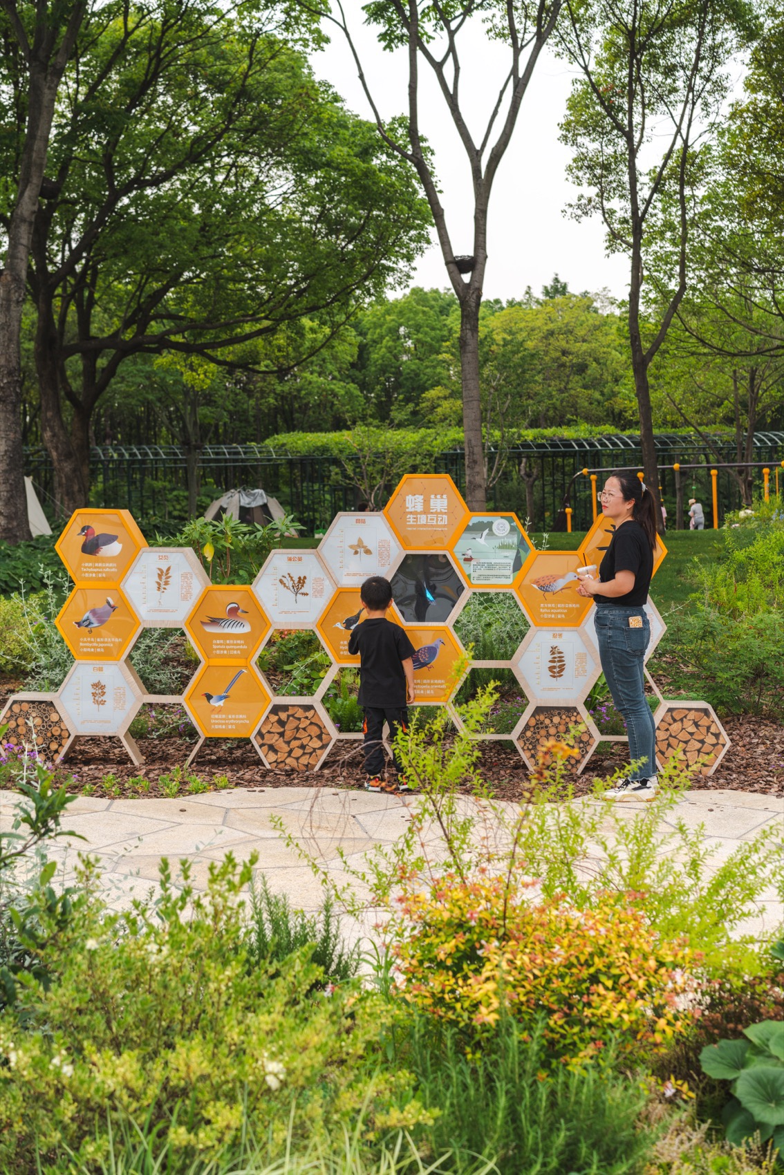 Li Lake Scenic Area Enhancement Design by AECOM - 谷德设计网