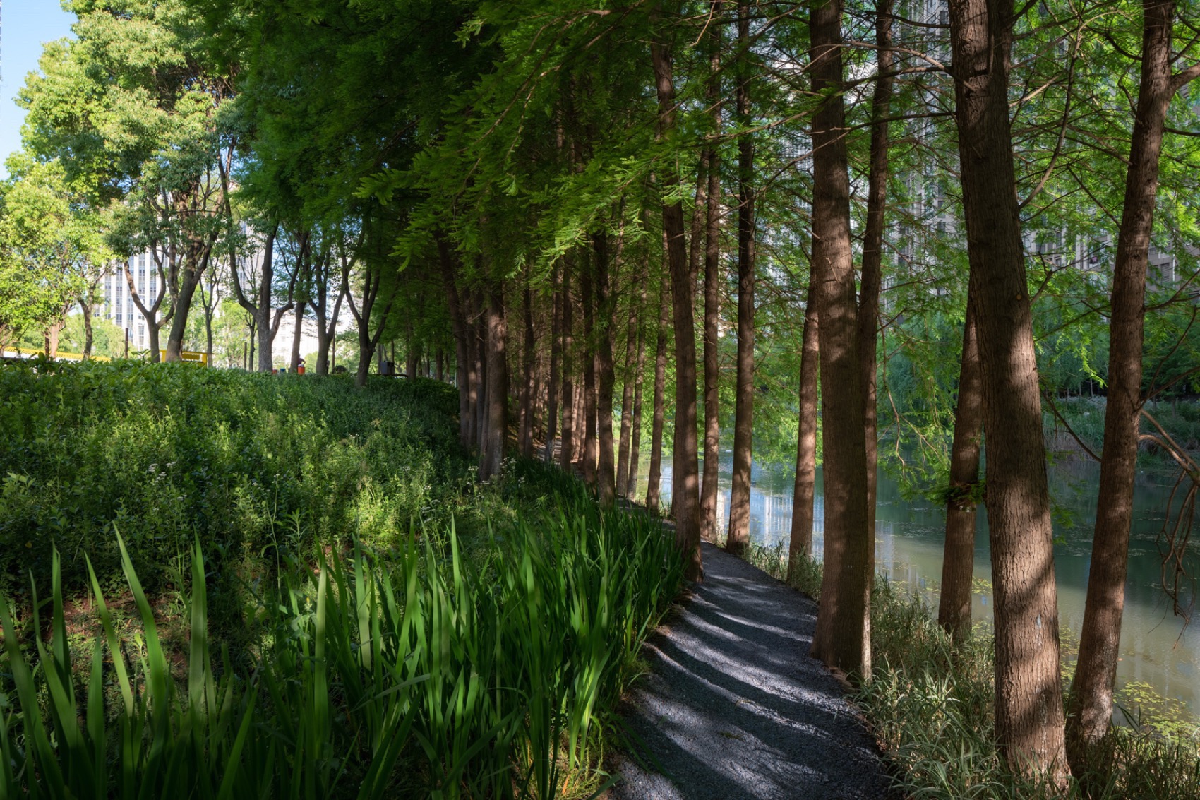 The Orchestra Park by SoBA - 谷德设计网