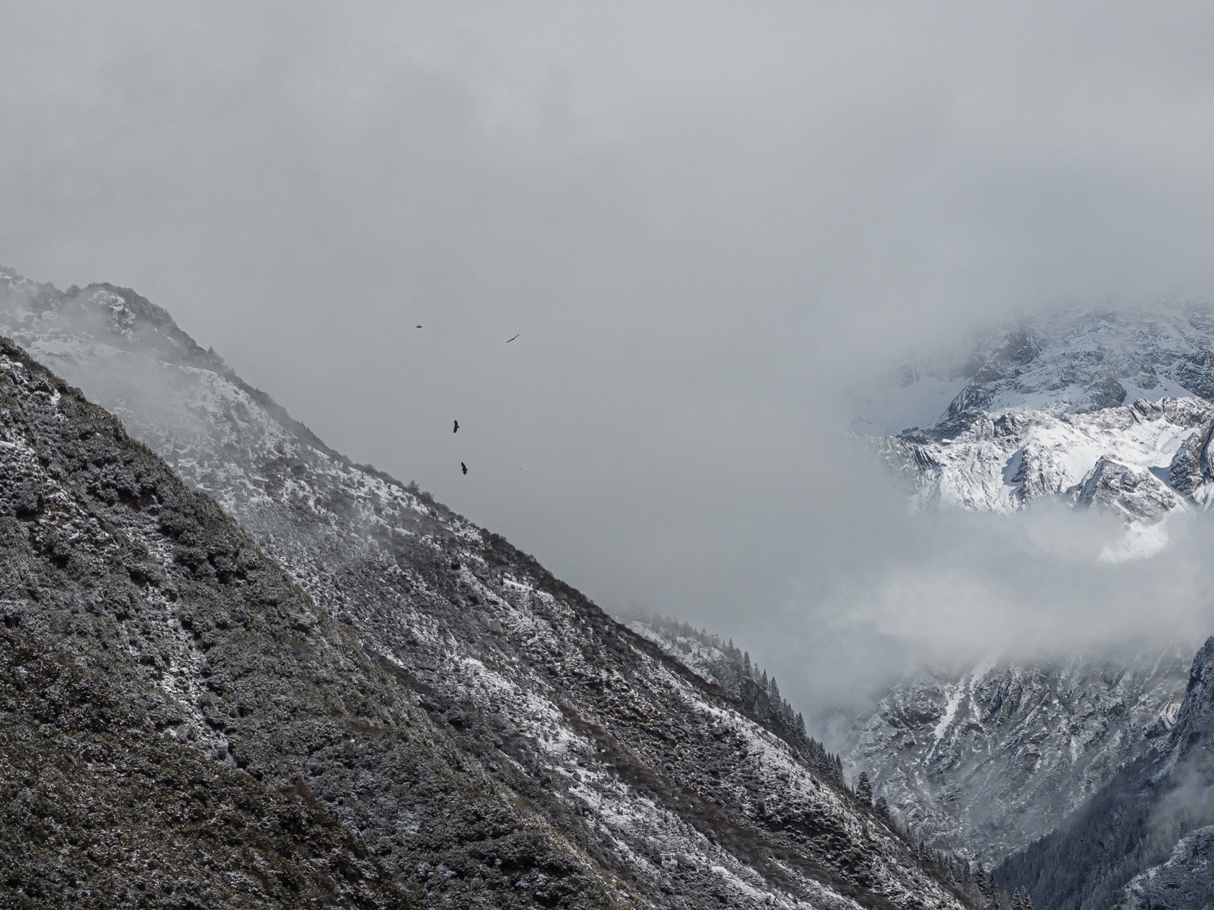 Xingshan Yueying Homestay by Chengdu Wan Qian Ji Environmental Art and ...
