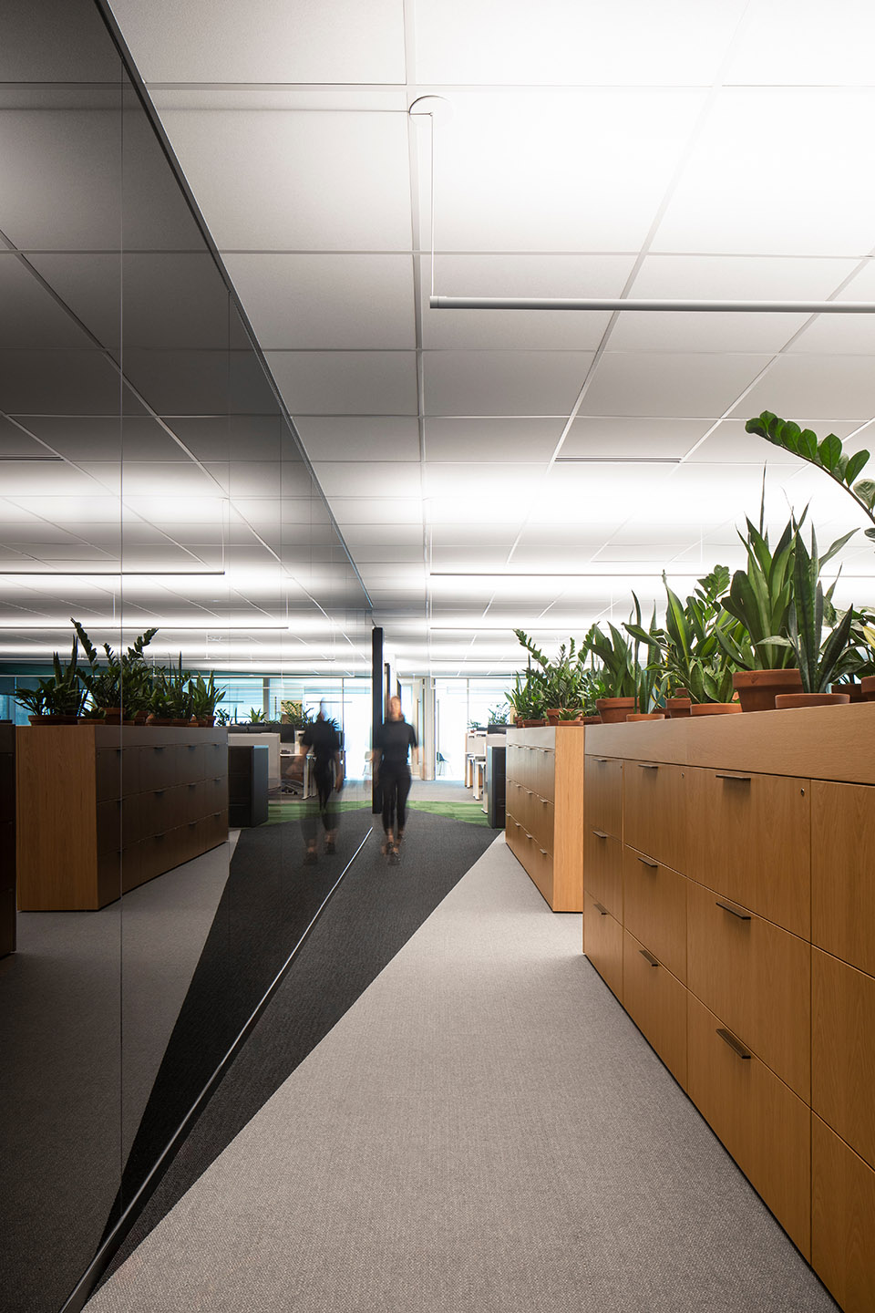 Law Firm McCarthy Tétrault by BVN + ACDF - 谷德设计网