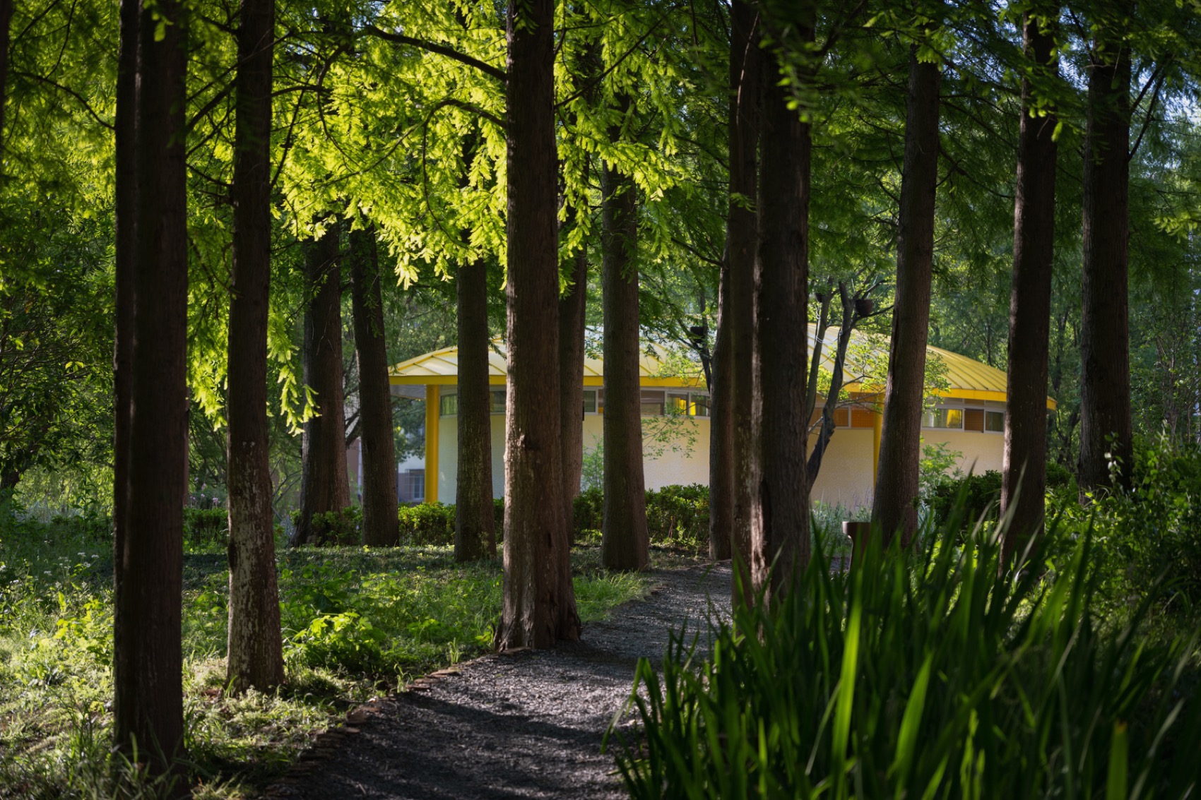 The Orchestra Park by SoBA - 谷德设计网