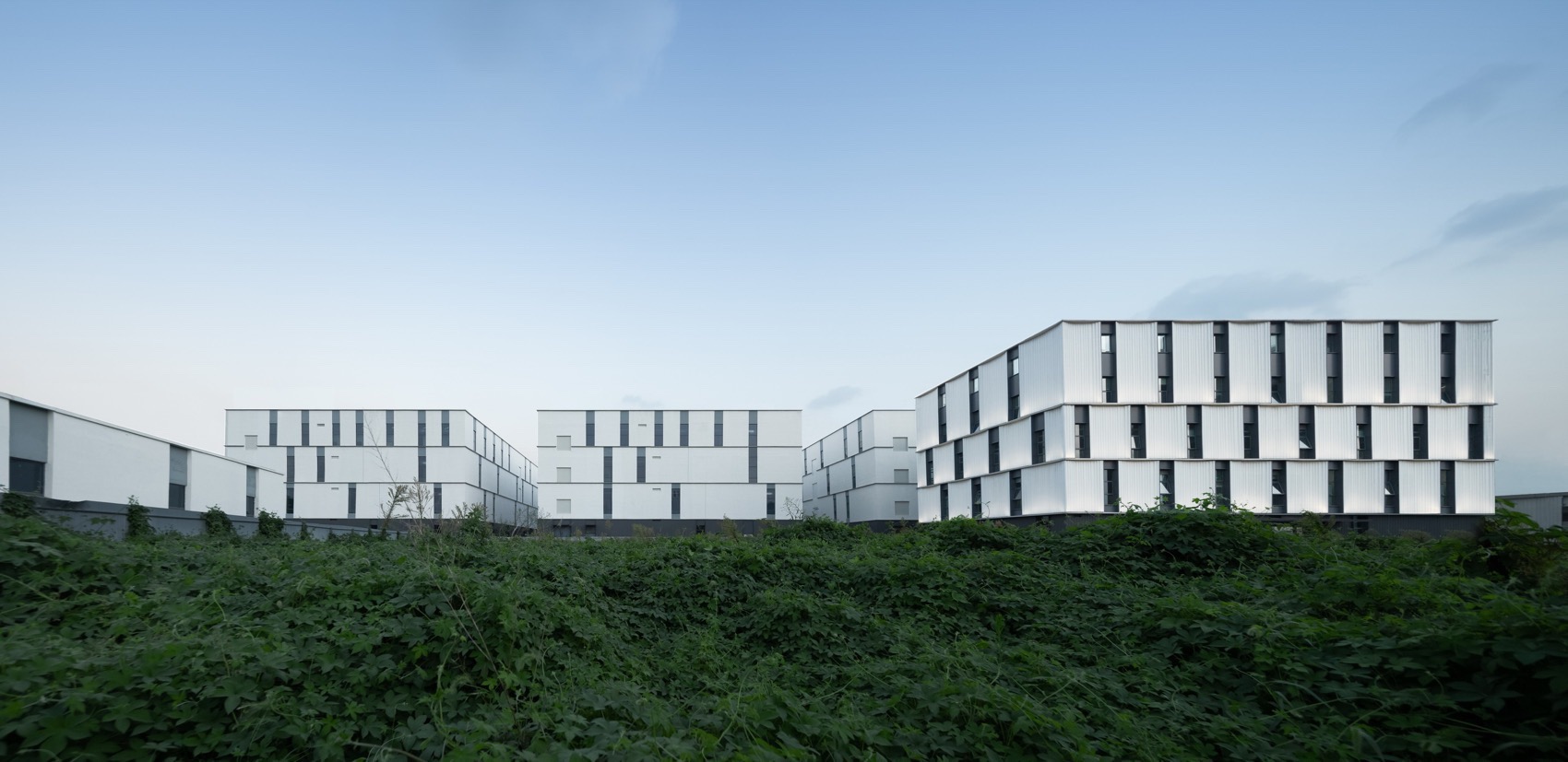 Angelalign Innovation and Beauty Base by Shanghai TIANHUA Architecture ...