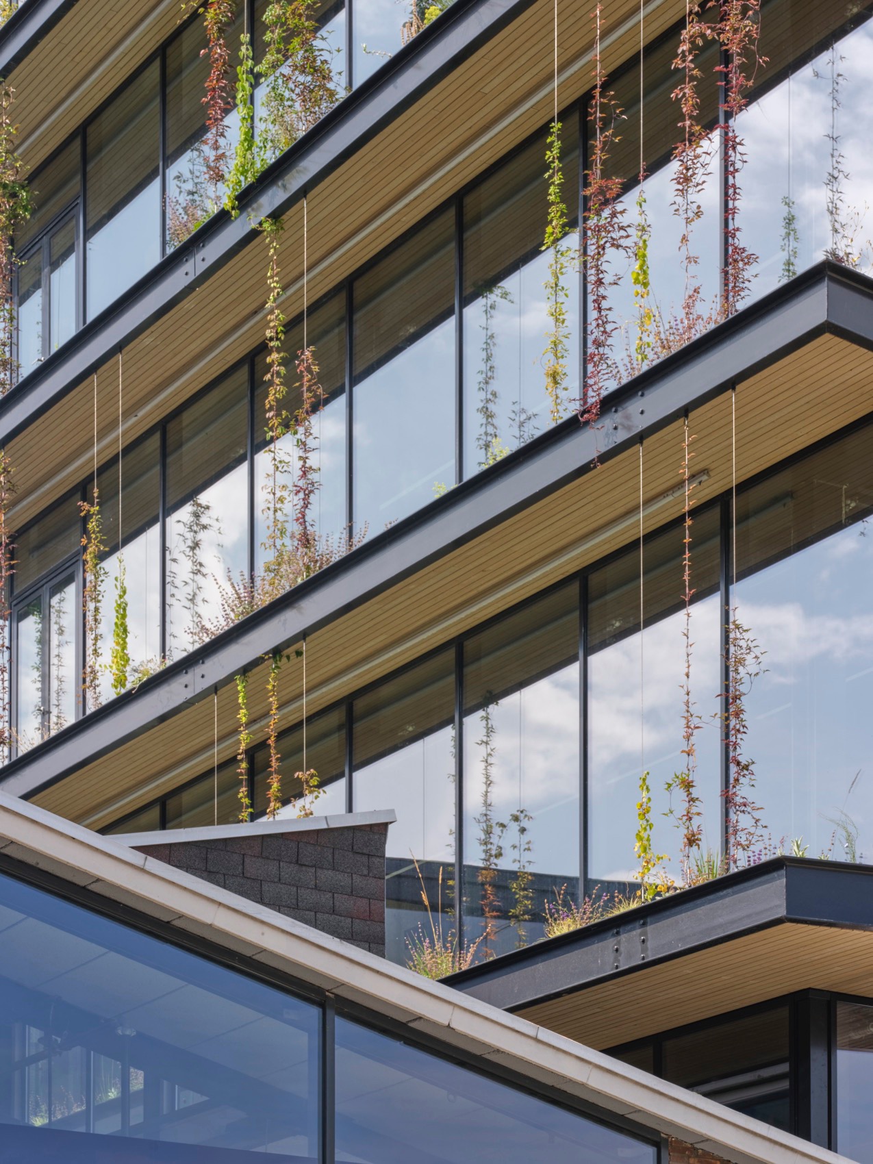 KBF WAREHOUSE Transformation by NEXT architects - 谷德设计网