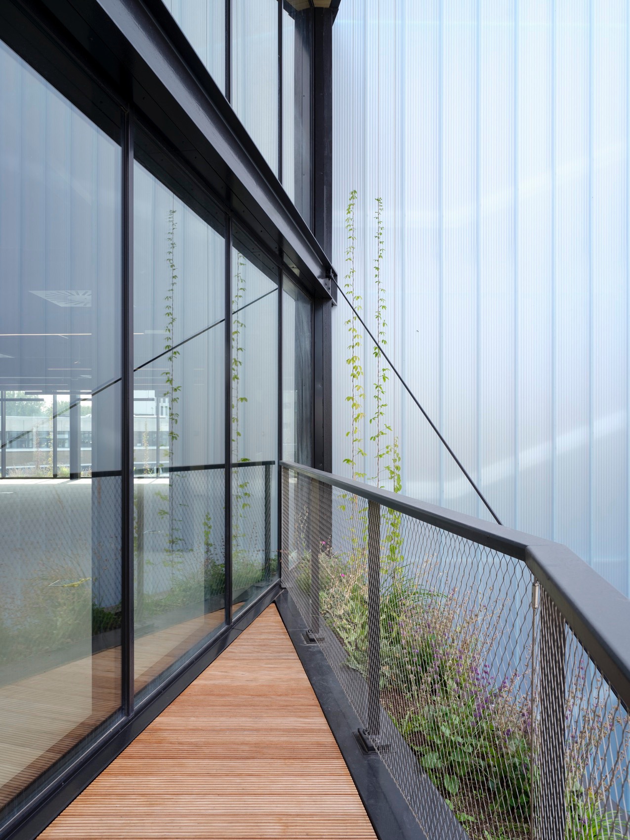 KBF WAREHOUSE Transformation by NEXT architects - 谷德设计网