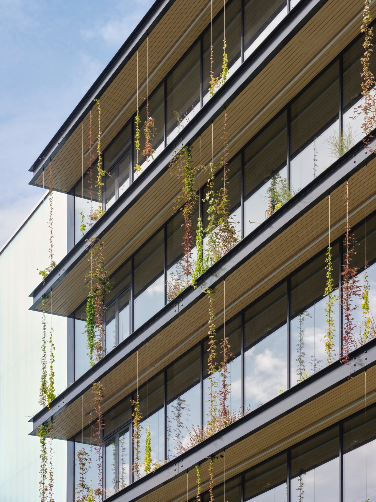 KBF WAREHOUSE Transformation by NEXT architects - 谷德设计网