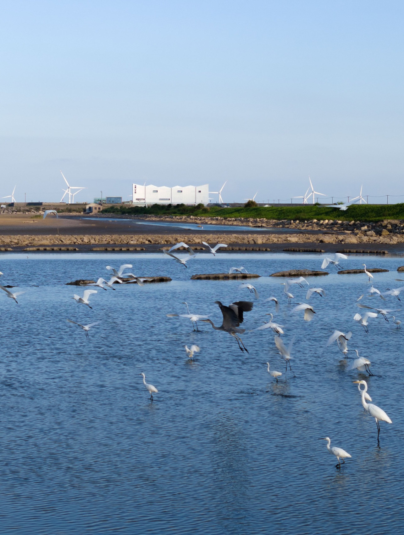Renovation of Xiangshan Sluice Gate by MARS Studio - 谷德设计网