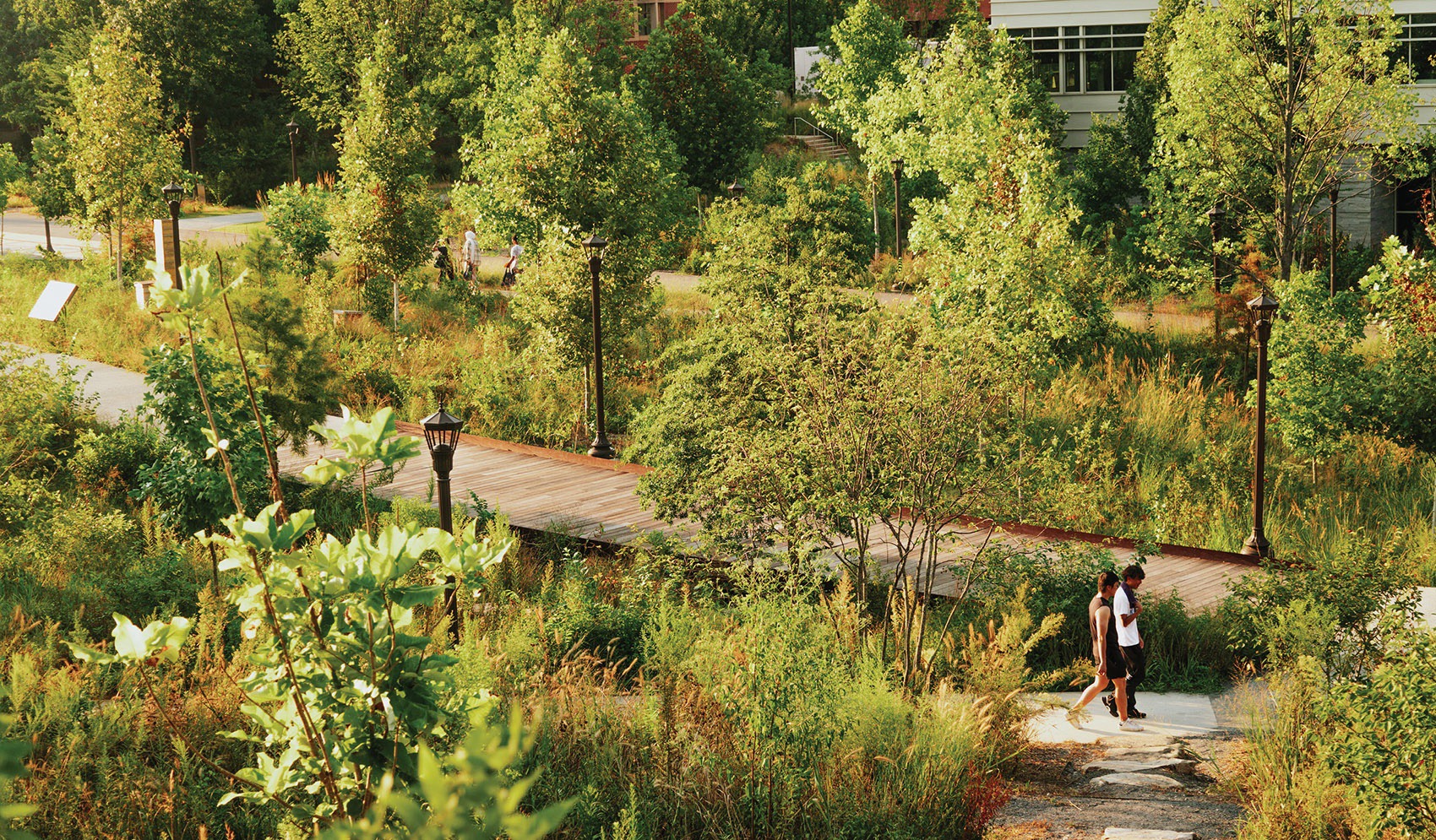 2024 ASLA GENERAL DESIGN AWARD OF HONOR: EcoCommons – Social and ...