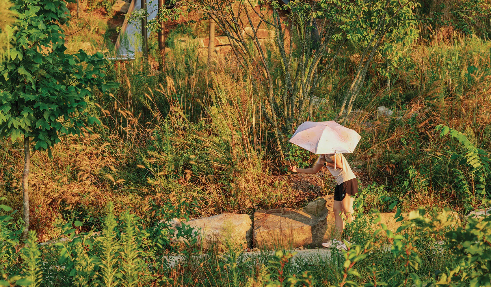 2024 ASLA GENERAL DESIGN AWARD OF HONOR: EcoCommons – Social and ...