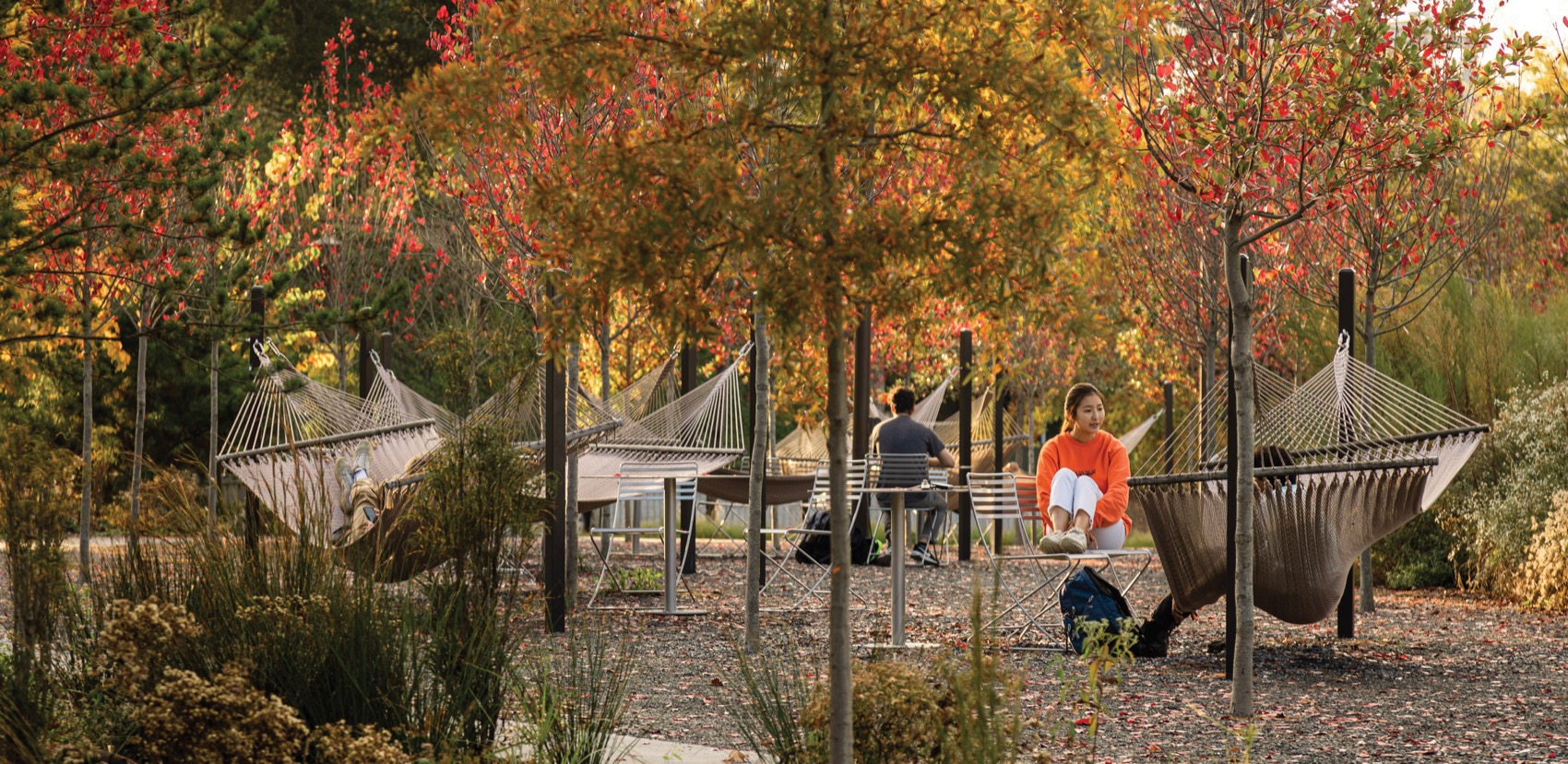 2024 ASLA GENERAL DESIGN AWARD OF HONOR: EcoCommons – Social and ...