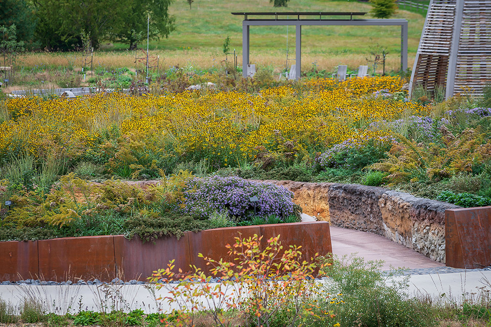 Pollinator and Bird Garden Designed by Didier Design Studio - 谷德设计网