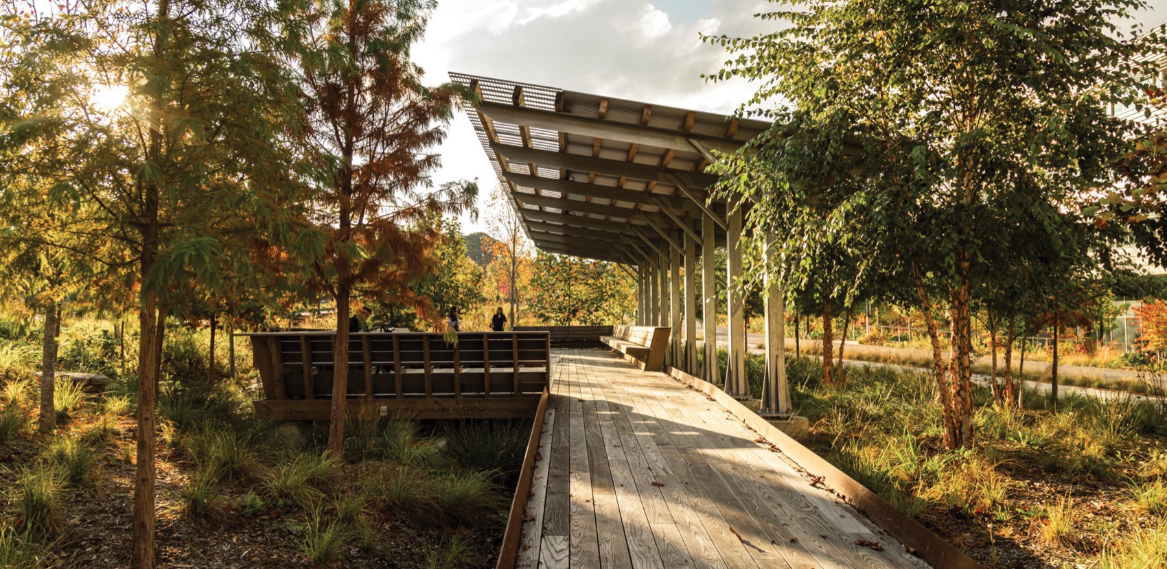 2024 ASLA GENERAL DESIGN AWARD OF HONOR: EcoCommons – Social and ...