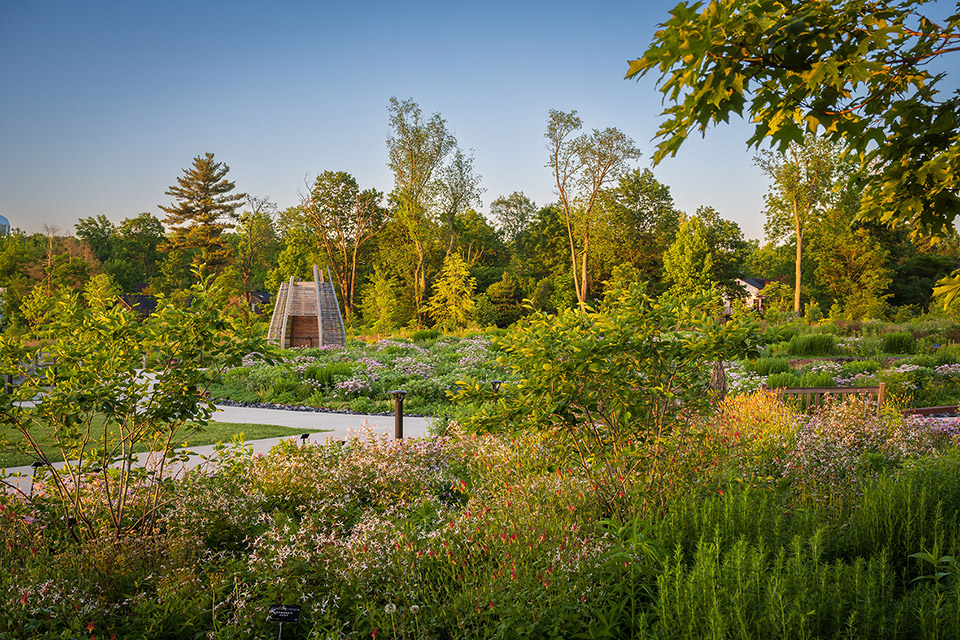 Pollinator and Bird Garden Designed by Didier Design Studio - 谷德设计网