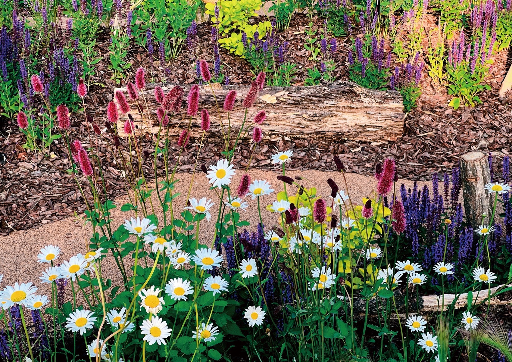 Seoul International Garden Show 2024 – Biological Self-organizing ...