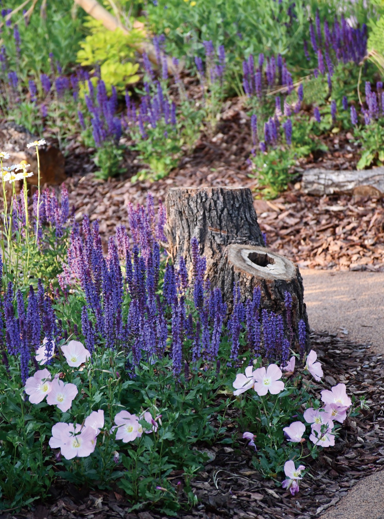 Seoul International Garden Show 2024 – Biological Self-organizing ...