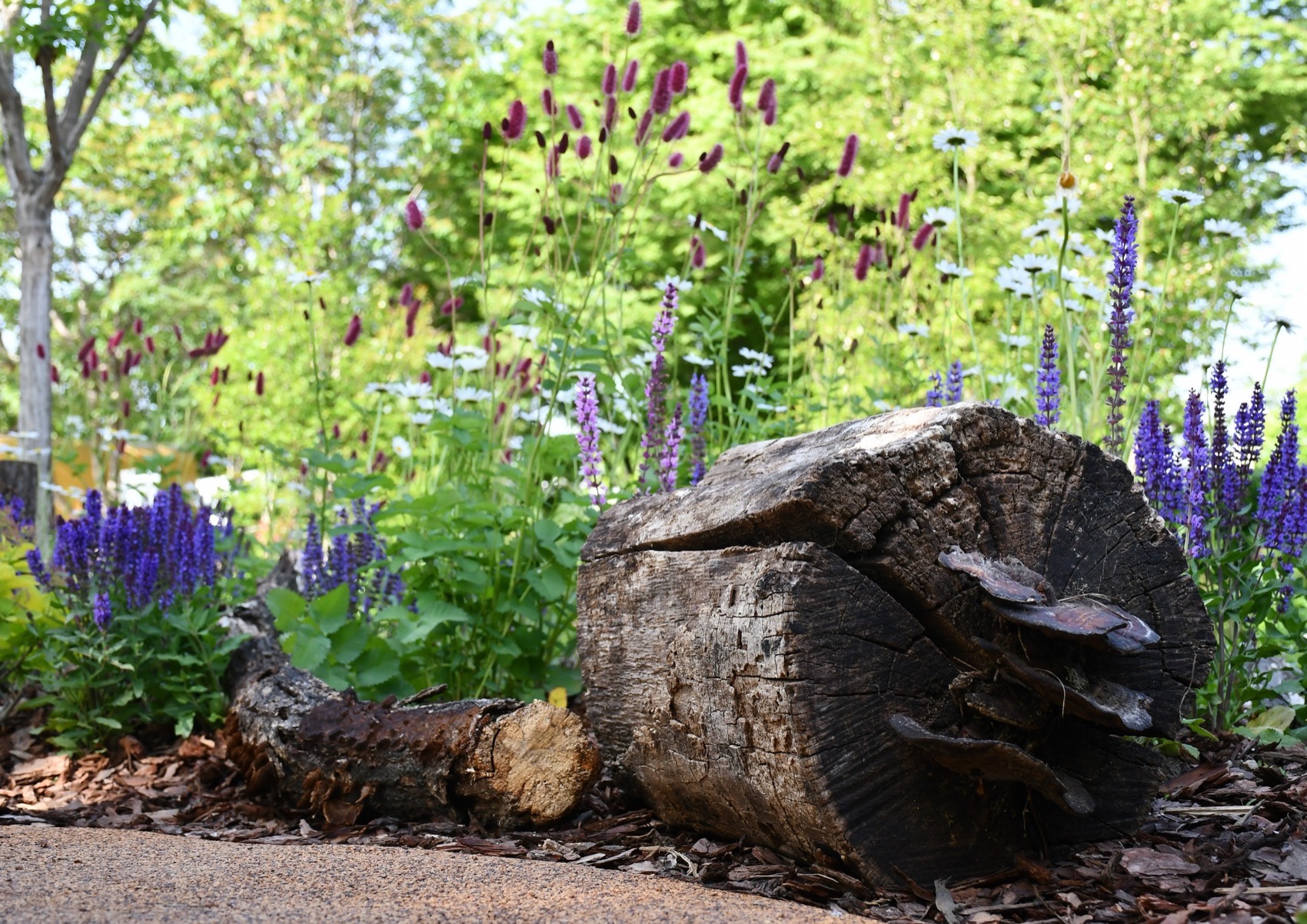 Seoul International Garden Show 2024 – Biological Self-organizing ...